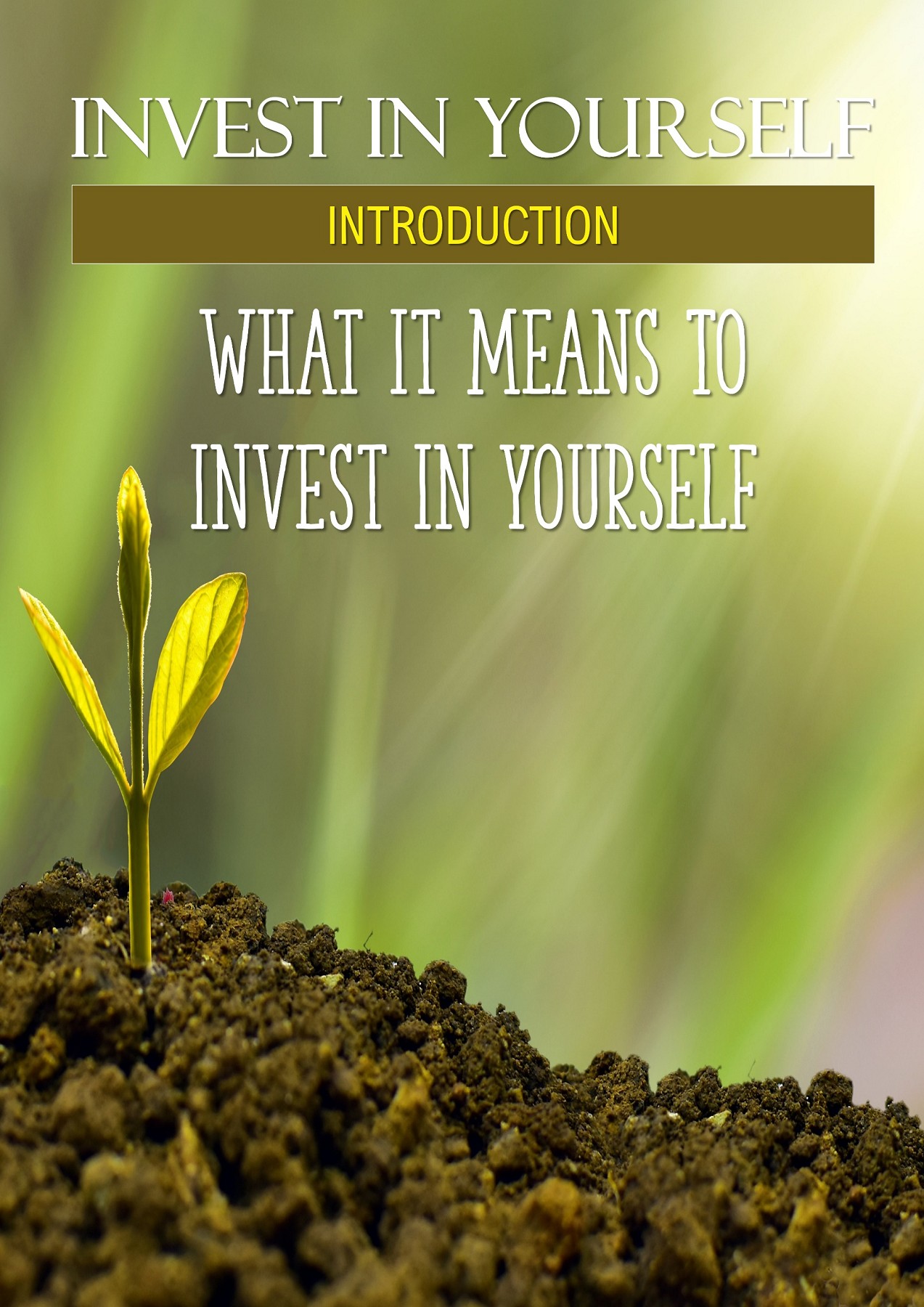 360_Self_Investment-Introduction - annie - Page 1 - 16 | Flip PDF ...