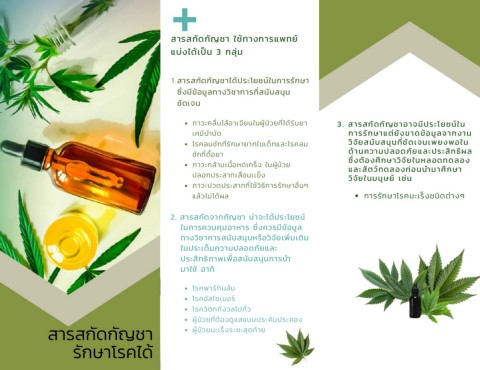 แผ่นพับ กัญชา ครูกี้