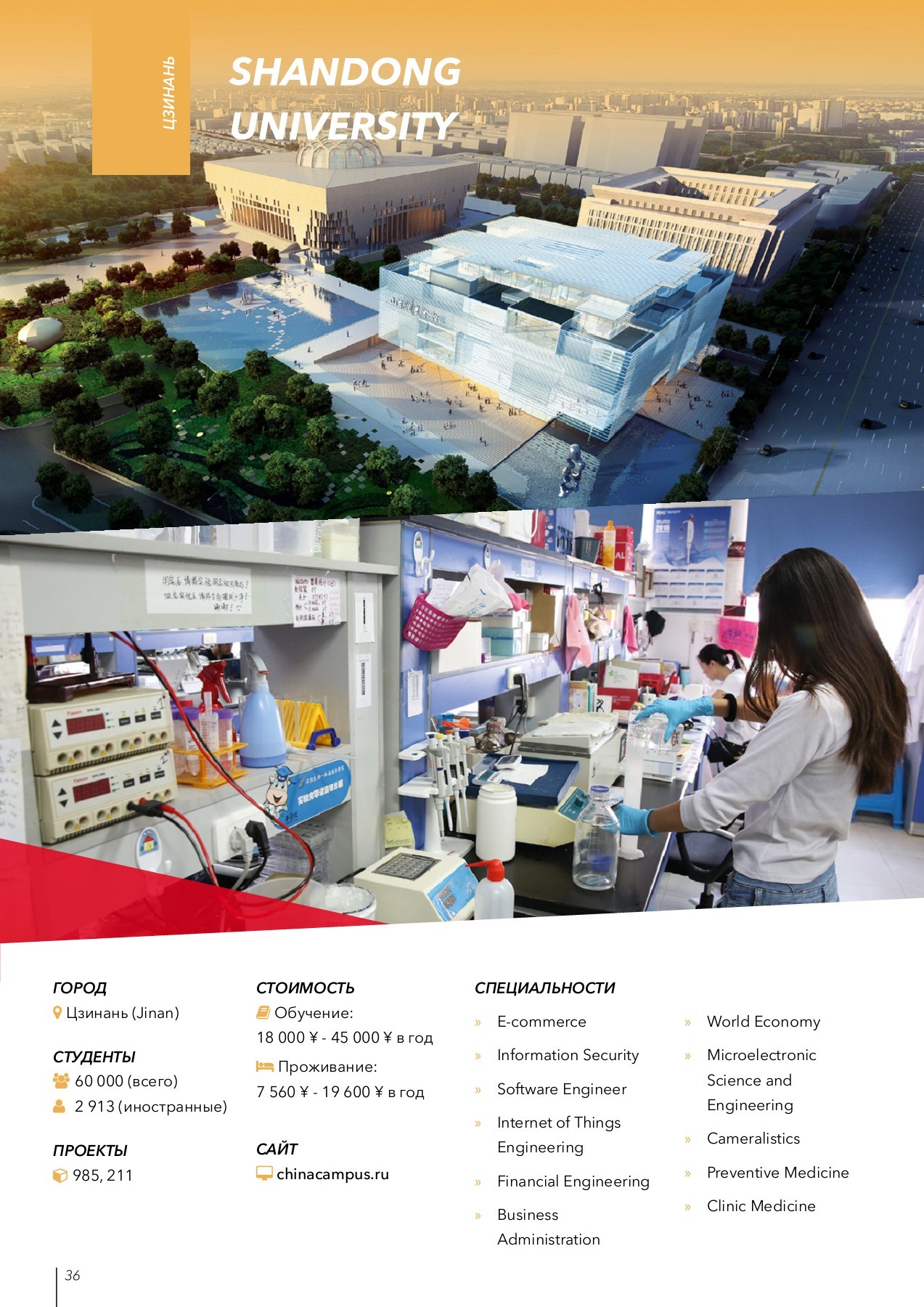 CCN university portfolio - Евгения Ефимова - страница 36 | PDF онлайн ...