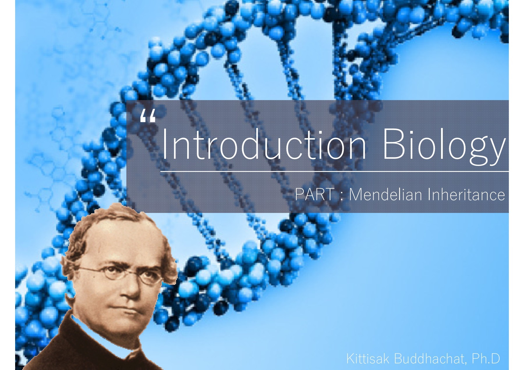 Mendelian inheritance - k_buddhachat - Page 1 - 19 | Flip PDF Online ...
