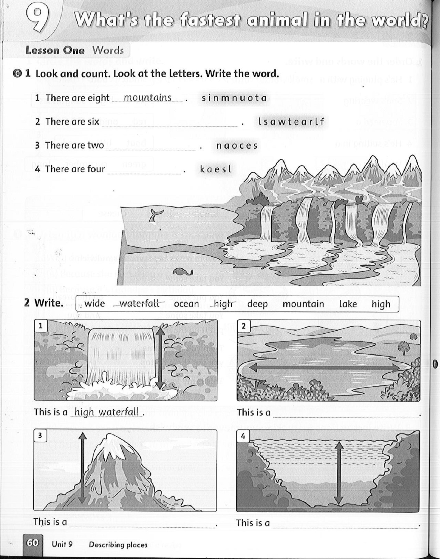 grade-4-special-edition-workbook - Gió ơi - Page 61 | Flip PDF Online | PubHTML5