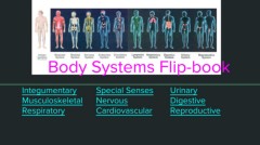 Body Systems Flip-book - Yagazie.aguwa.339 - Page 1 - 11 | Flip PDF ...