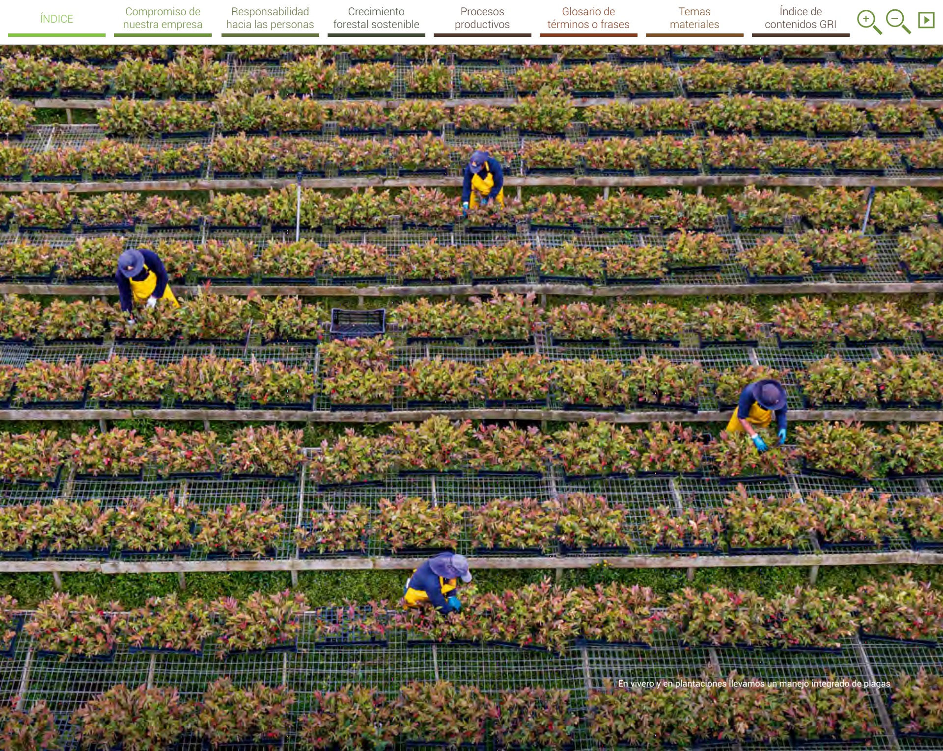 Memoria Sostenibilidad Aglomerados Cotopaxi - Mindsoft - Página 70 | Flip PDF en línea | PubHTML5