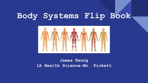 Health Science Body System Flip Book - James Kwong - Page 1 - 11 | Flip ...