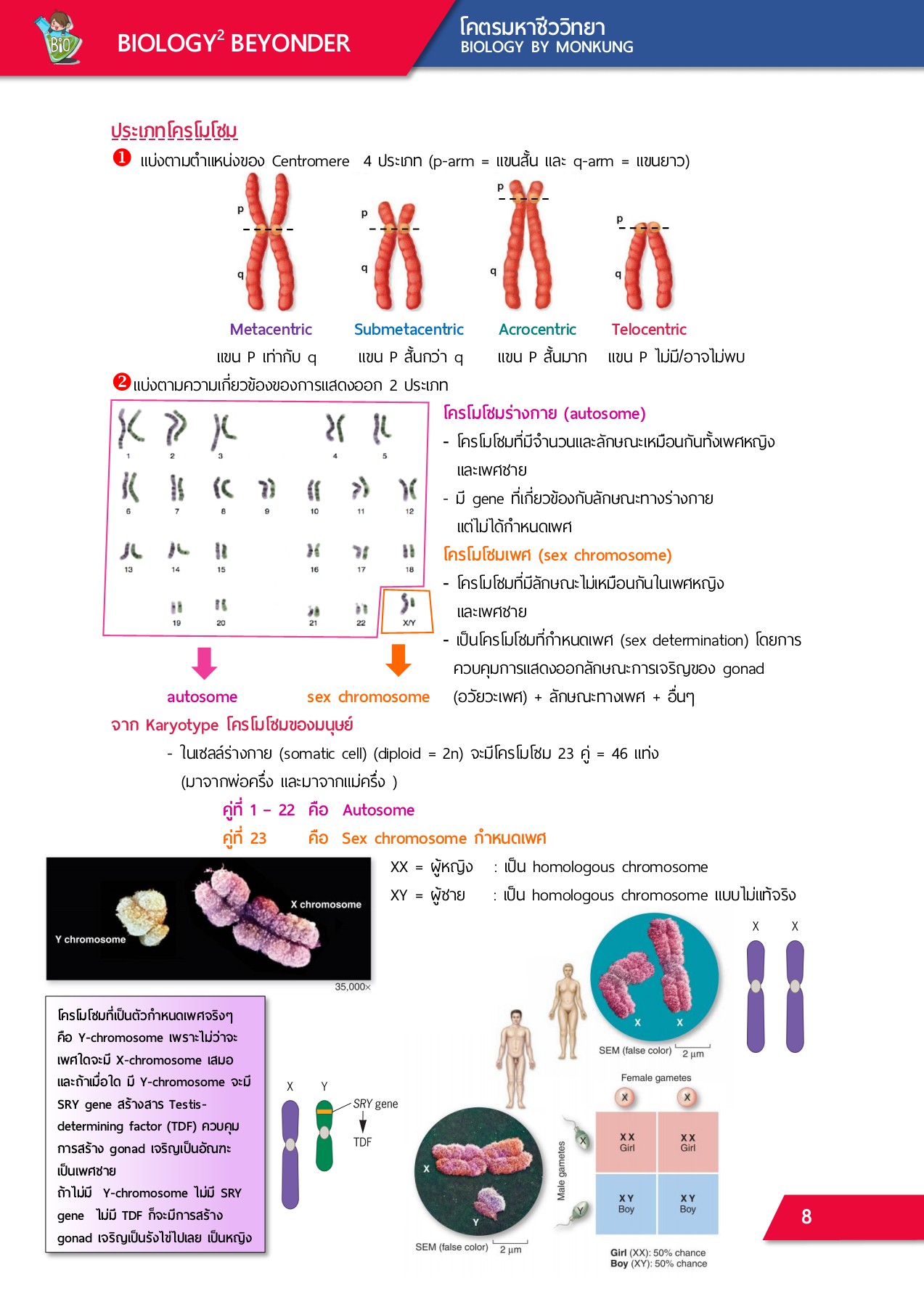 BIO M.4 MOLECULAR GENETICS SUM (1) - nonthichadawimonmueang - หน้า ...