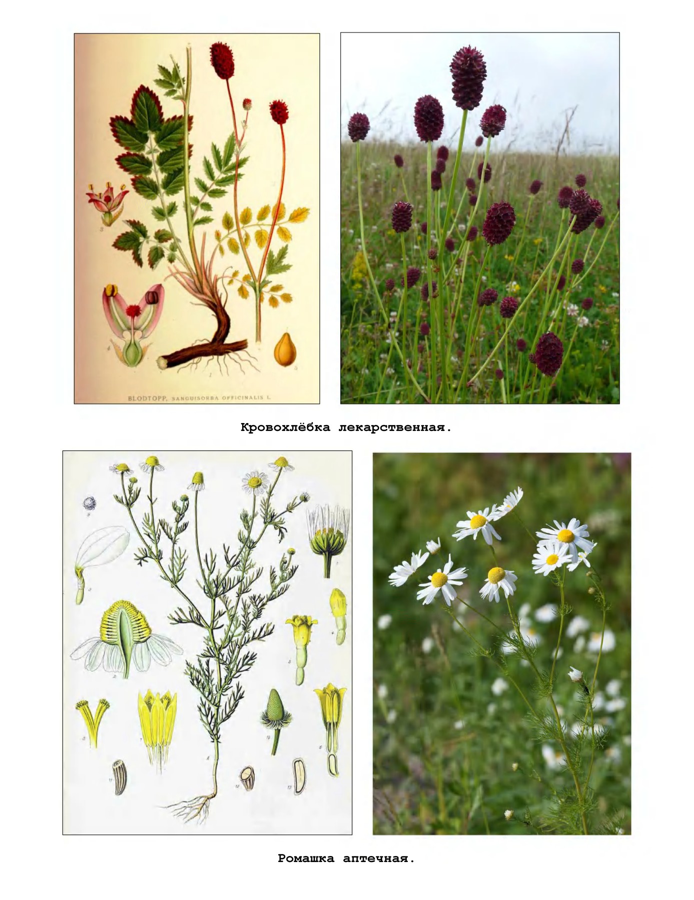 DL-2020-11 - mirnauka61 - Page 333 | Flip PDF Online | PubHTML5