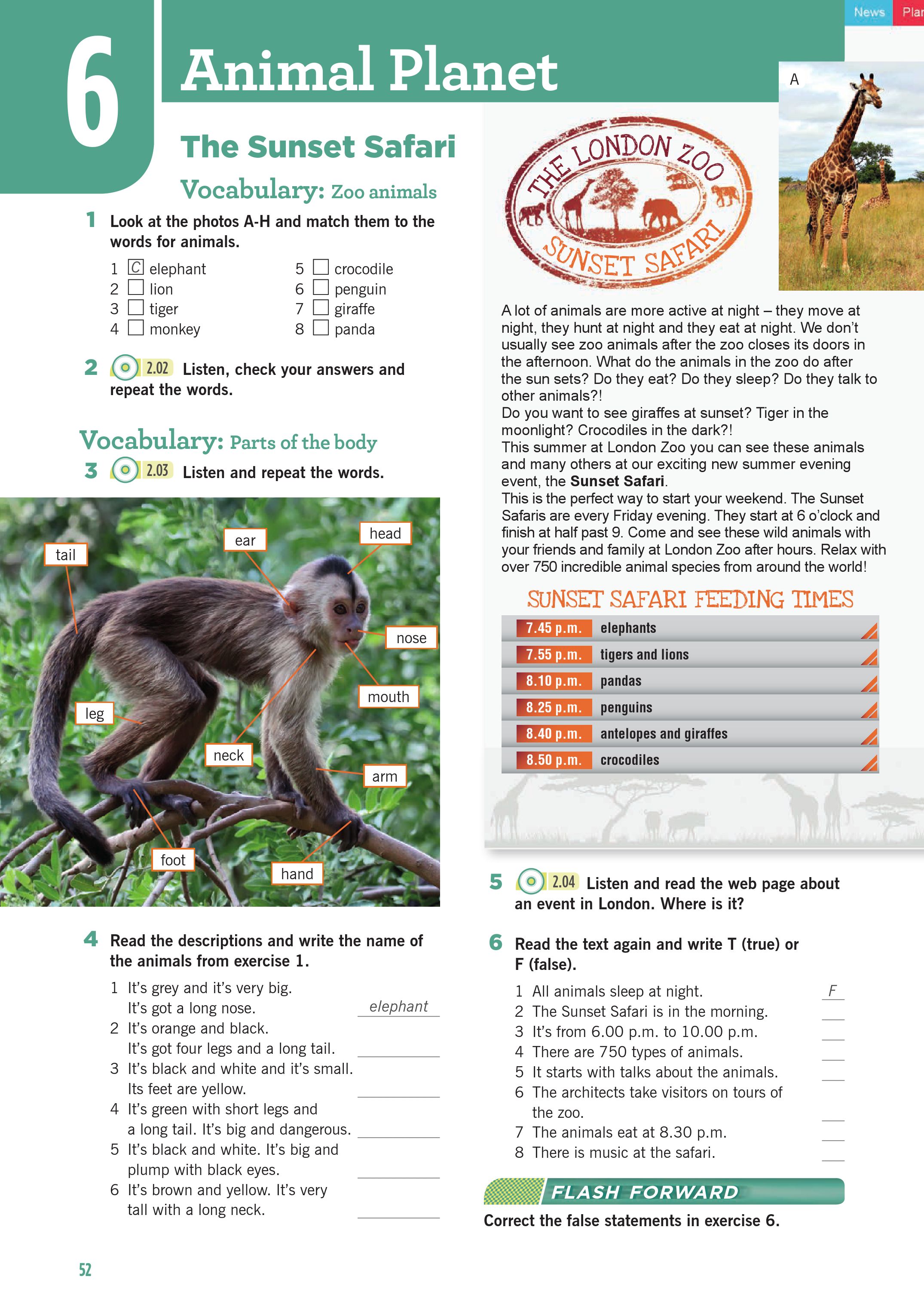 Flash On English Beginners Complete Students - Workbook - Teachersbook ...