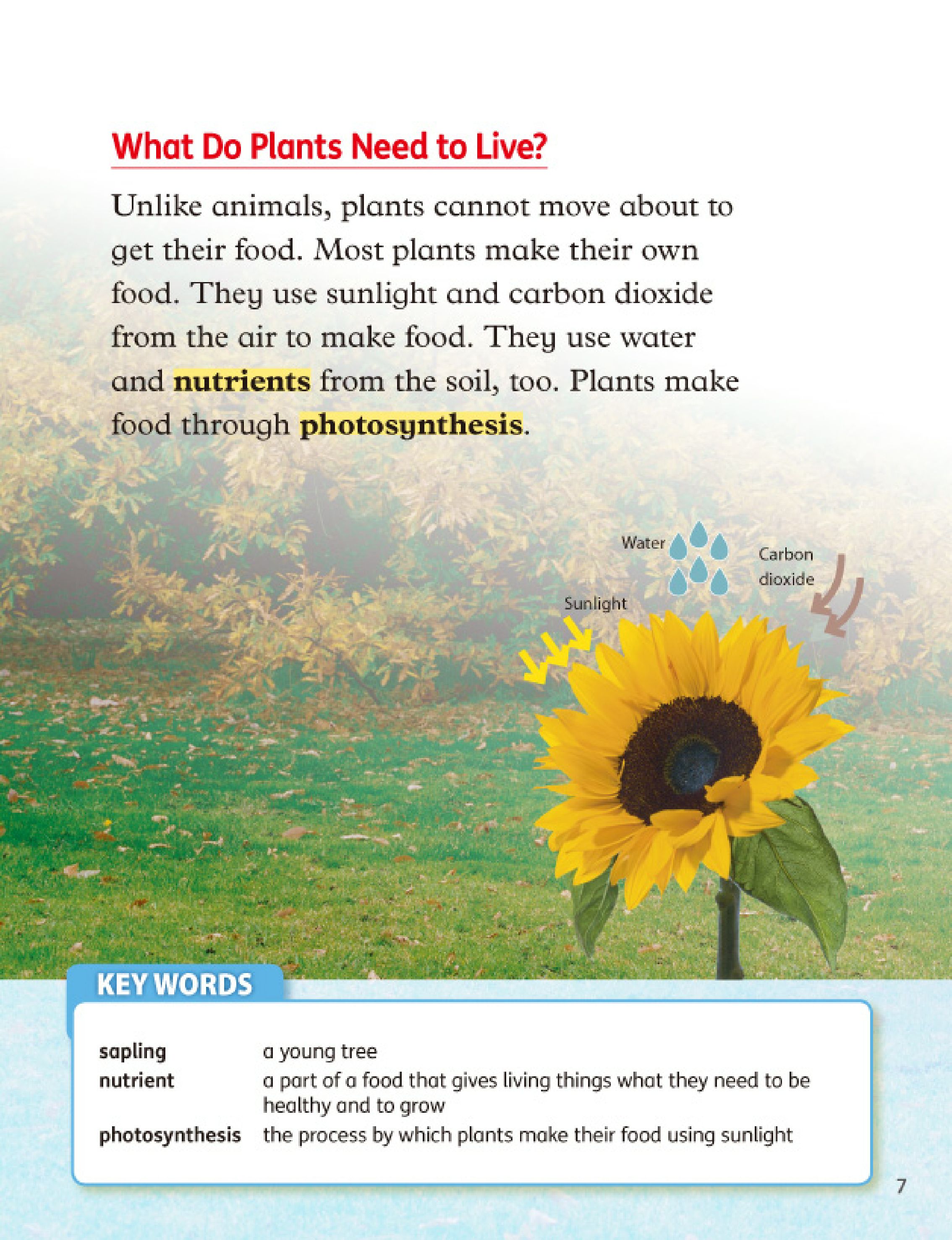 Interactive Science 3 sample unit - Educa Libros y Textos S.A. de C.V ...