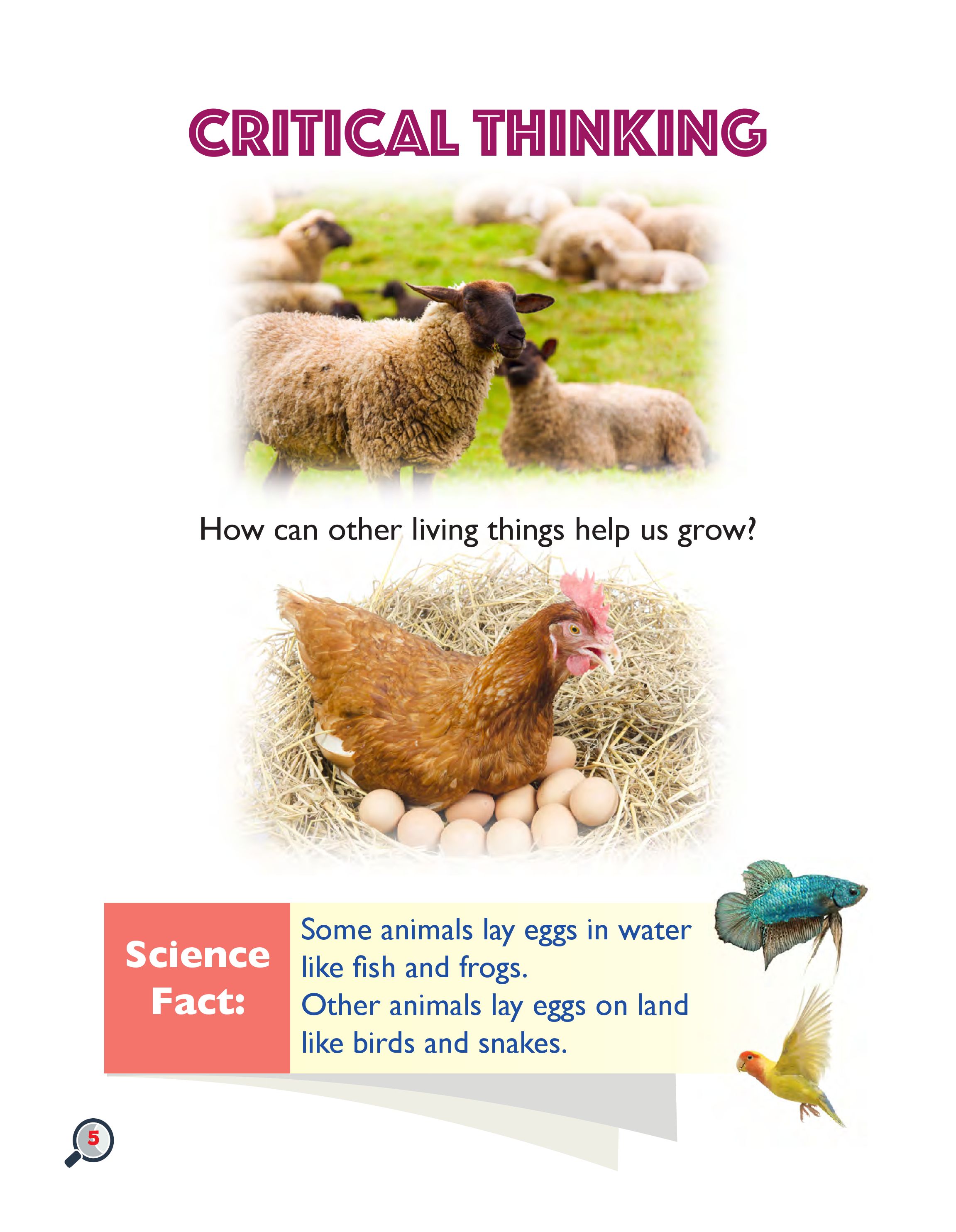 Science Tour Book 1 sample pages - Educa Libros y Textos S.A. de C.V ...