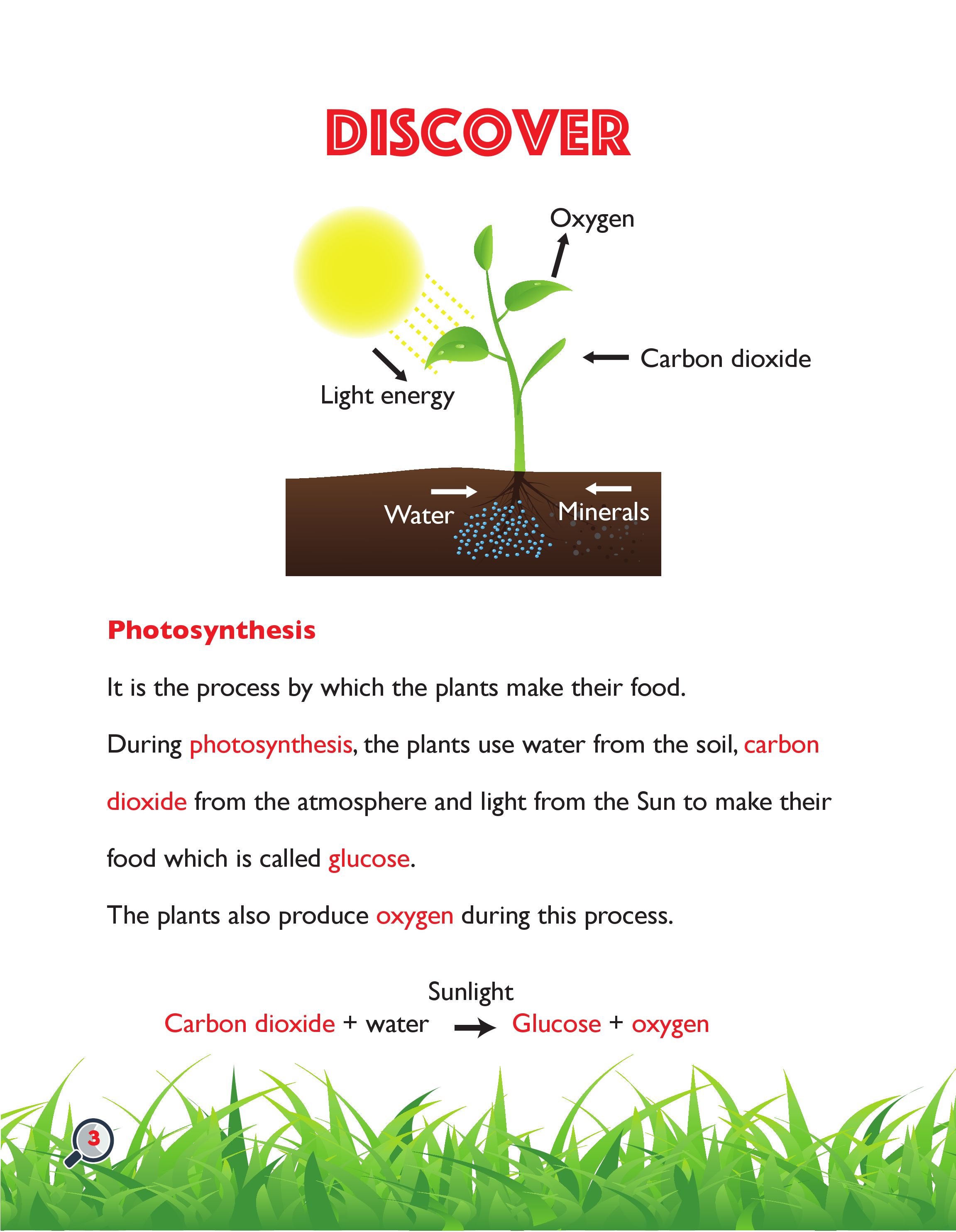 Science Tour Book 3 sample pages - Educa Libros y Textos S.A. de C.V ...