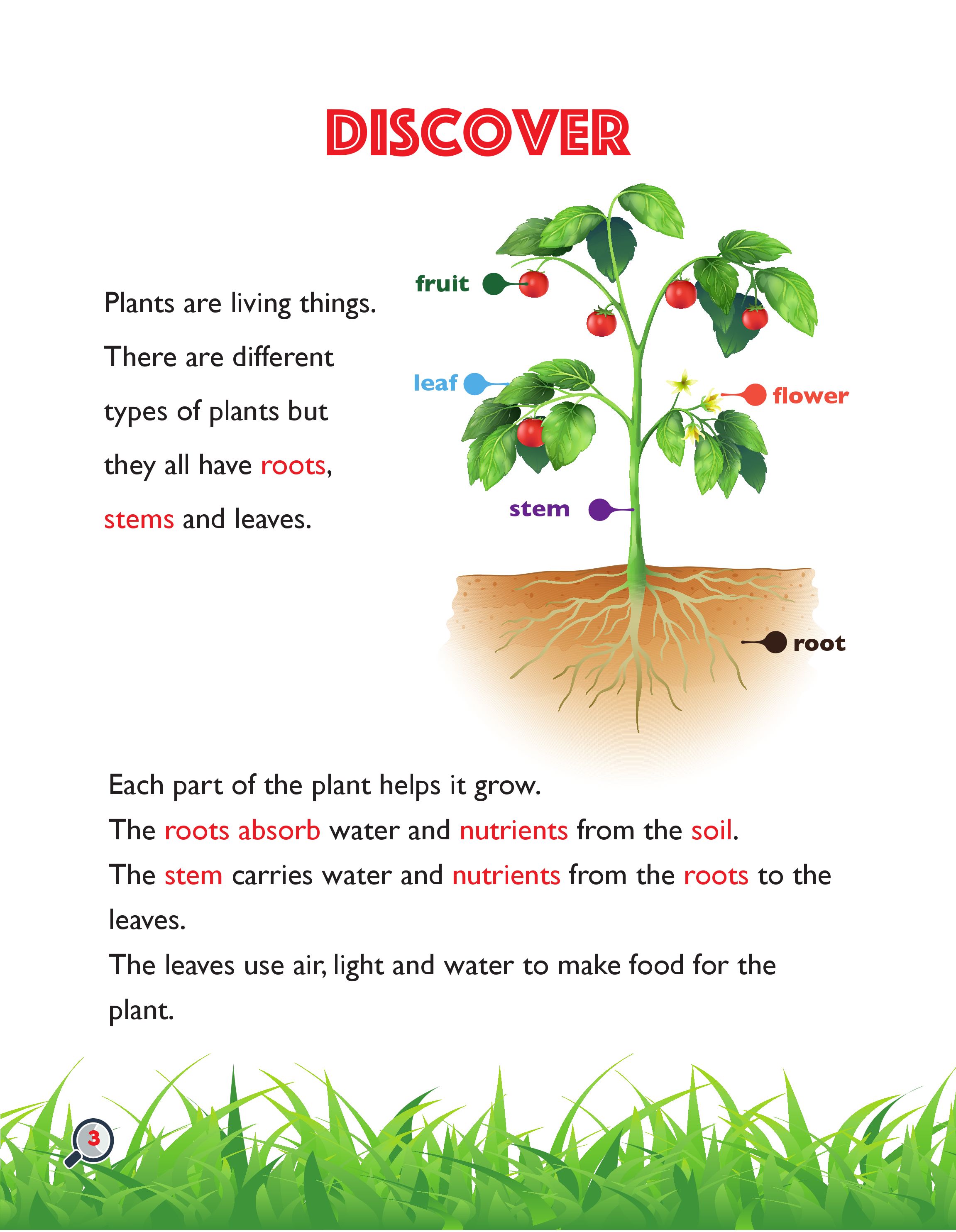 Science Tour Book 2 samples pages - Educa Libros y Textos S.A. de C.V ...
