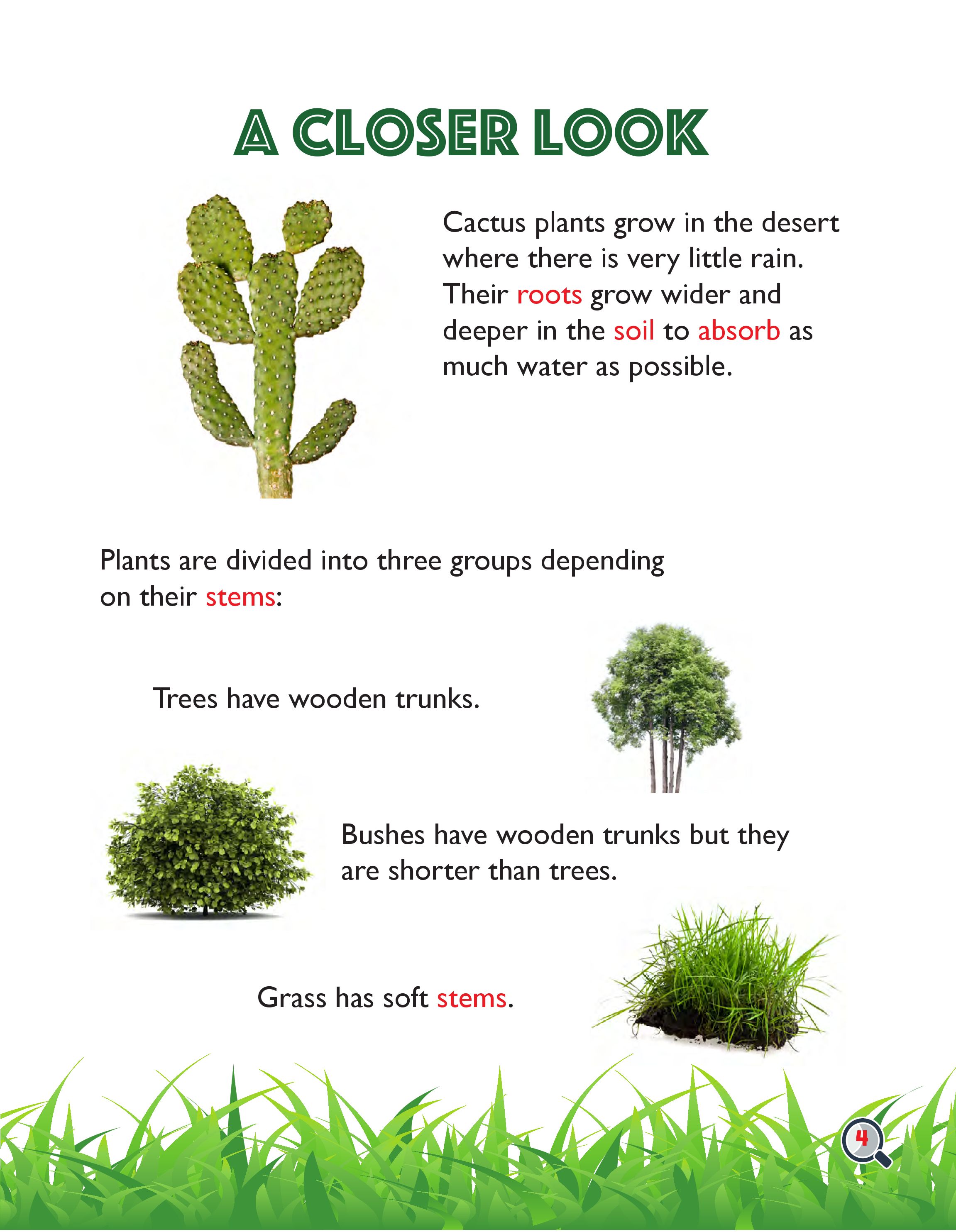 Science Tour Book 2 samples pages - Educa Libros y Textos S.A. de C.V ...