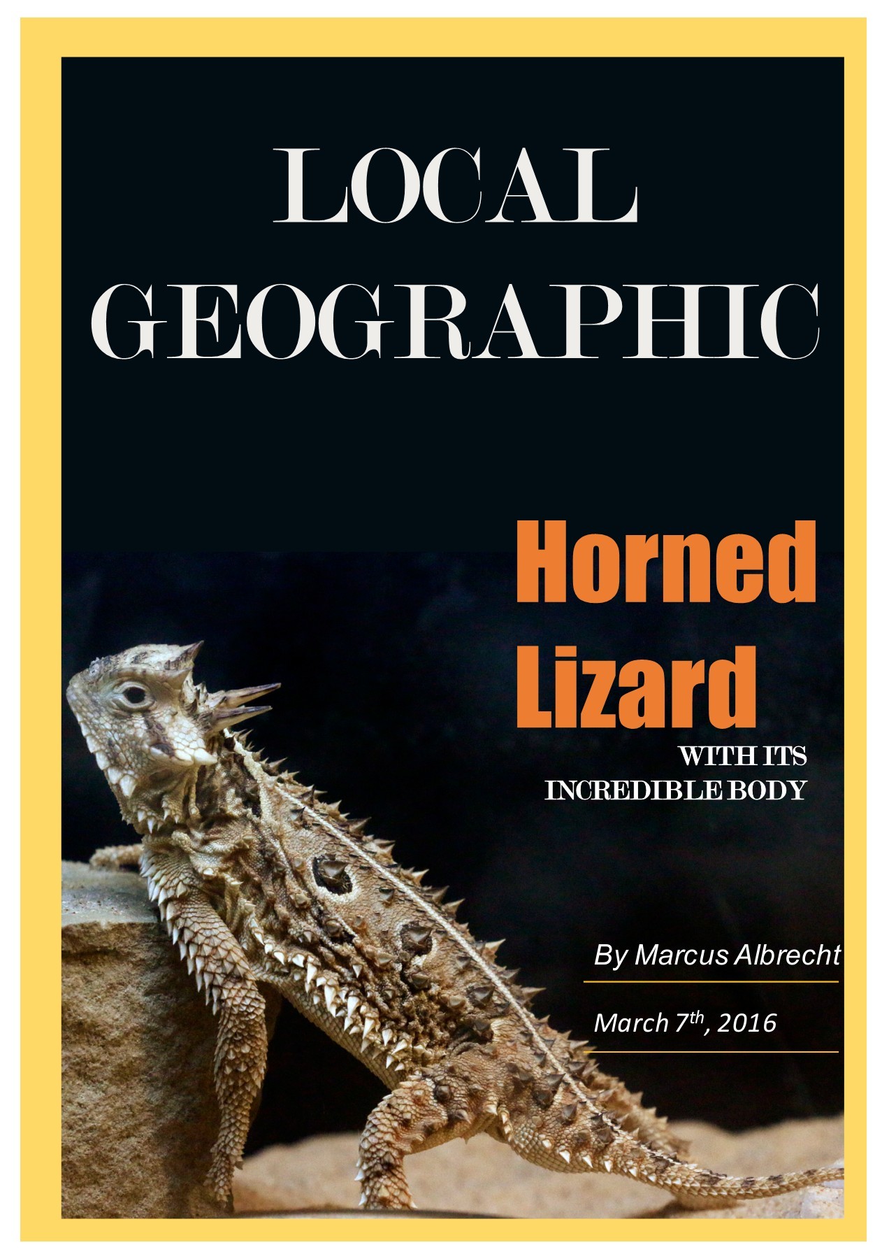 Horned Lizard Book - marcusalbrecht2006 - Page 1 - 17 | Flip PDF Online ...
