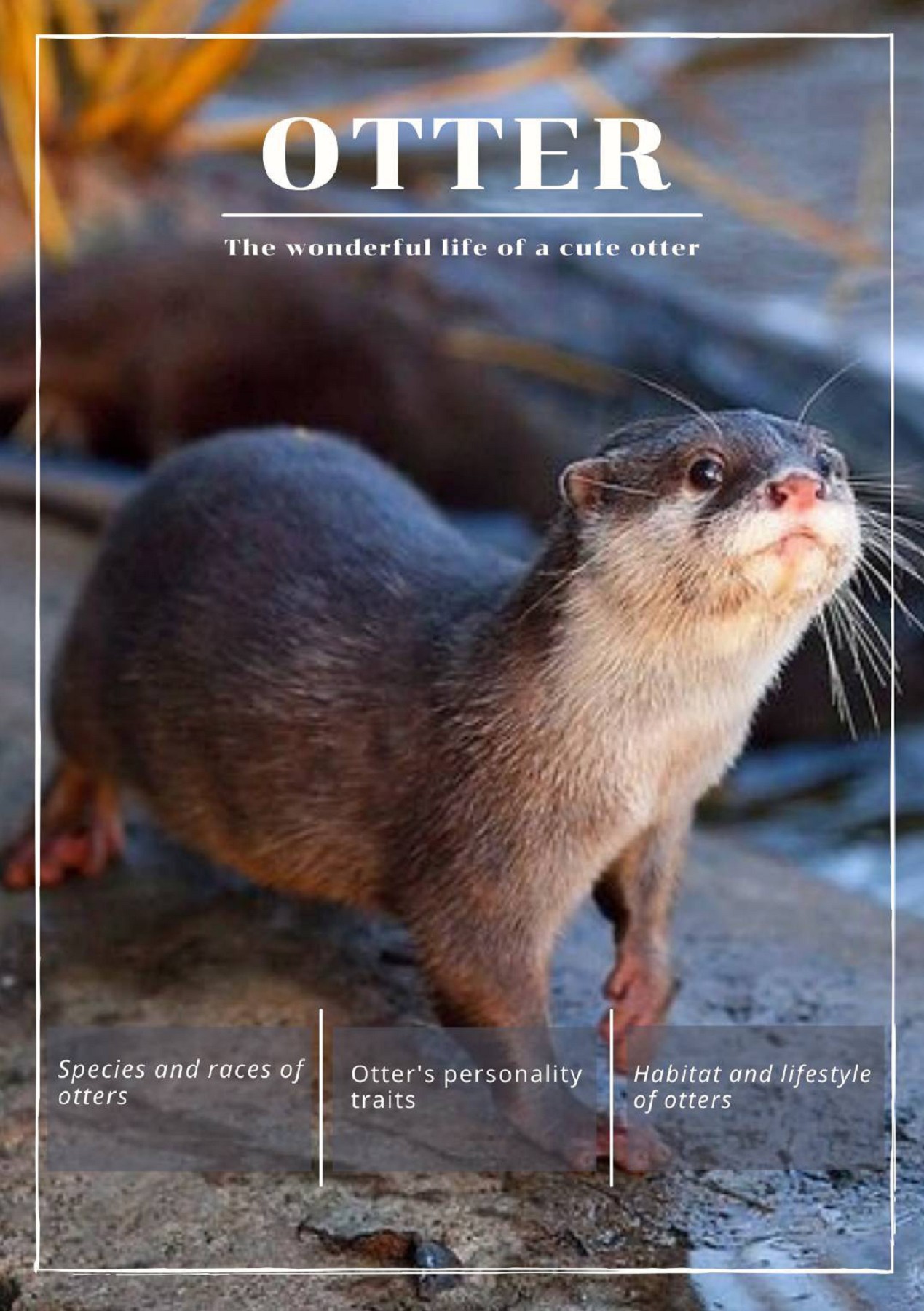 otter - natawadee300746 - Page 1 - 10 | Flip PDF Online | PubHTML5