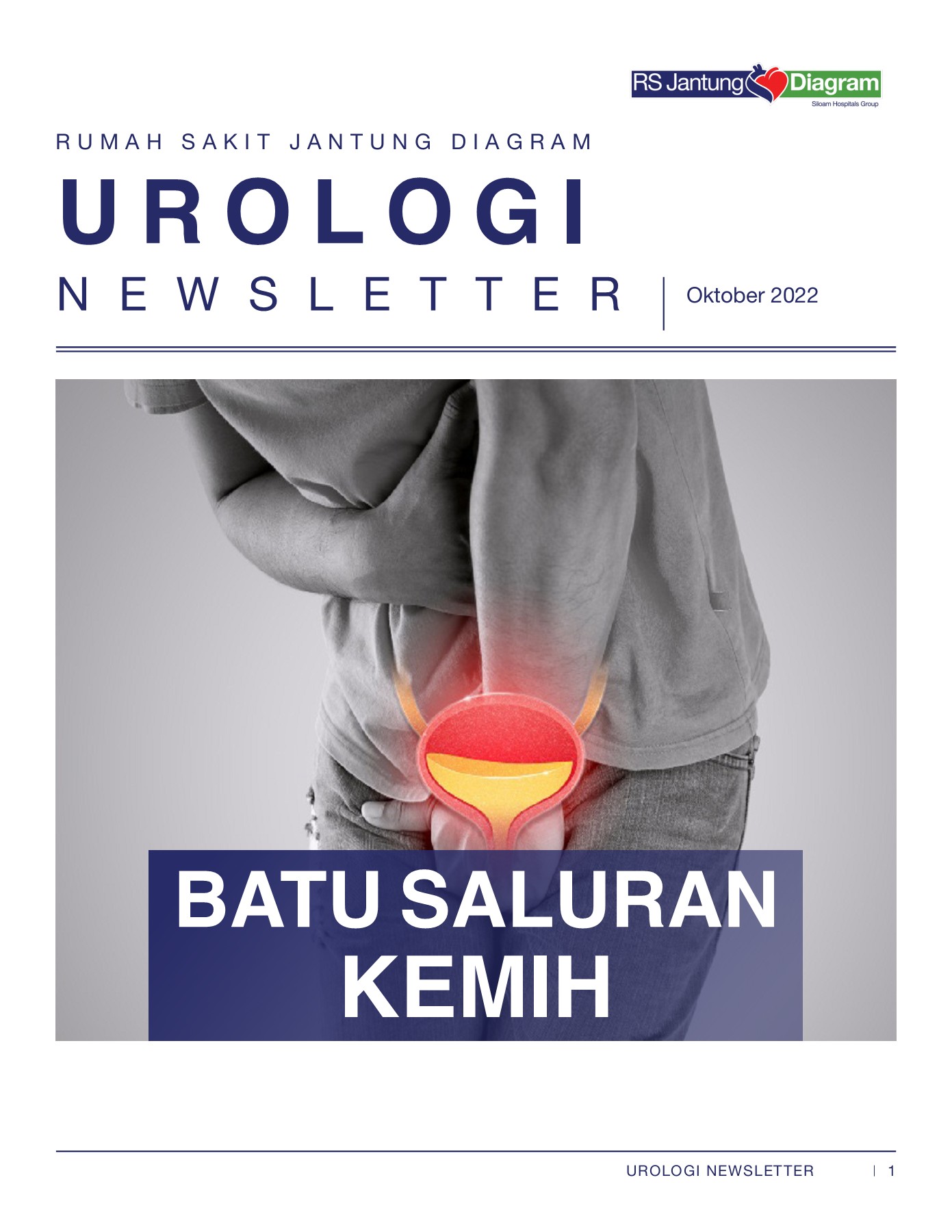 UROLOGI - BATU SALURAN KEMIH - Siloam Jantung Diagram - Halaman 1 - 8 ...