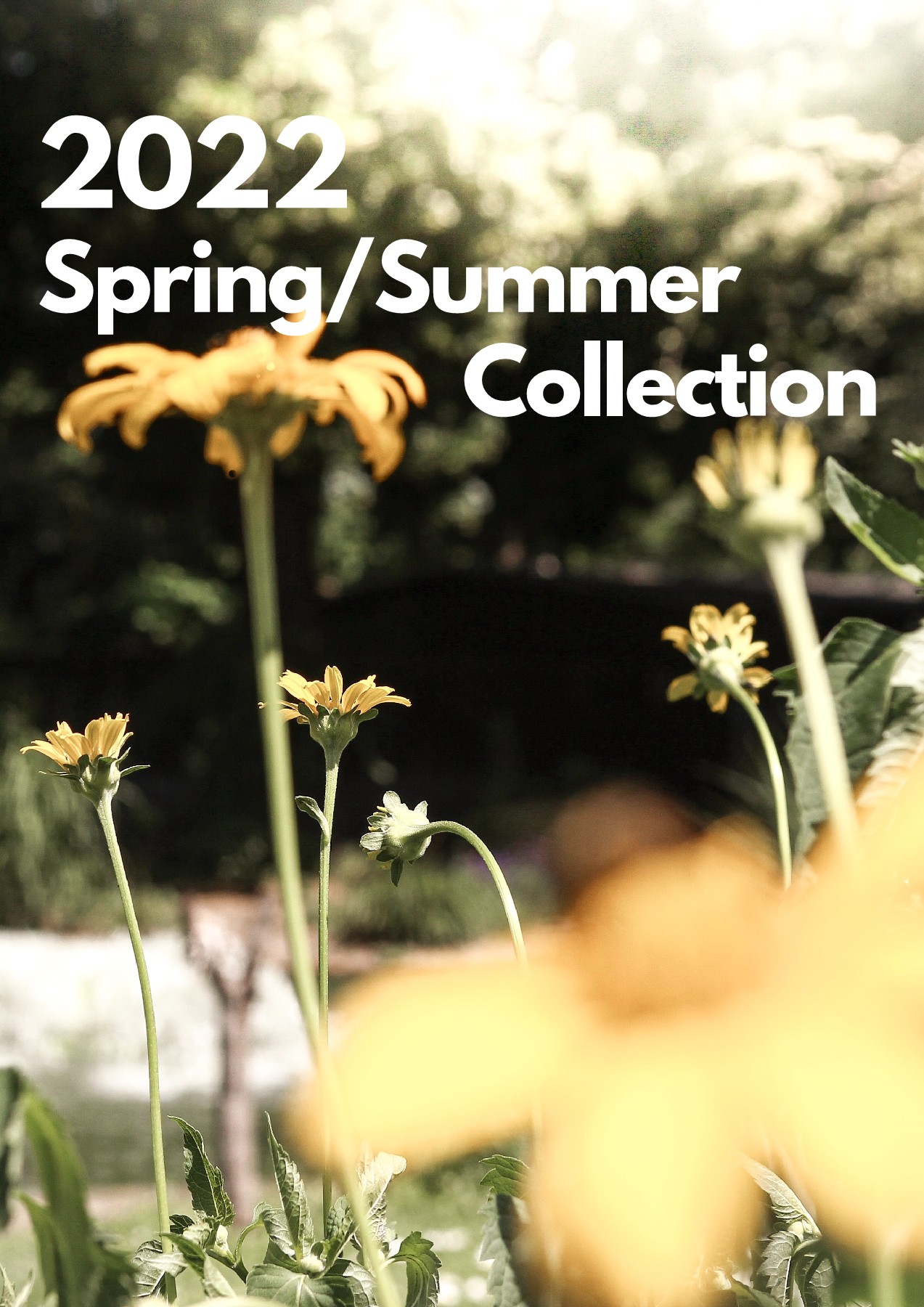 2022 Spring Summer Collection - cocoooolhp - Page 1 - 22 | Flip PDF ...