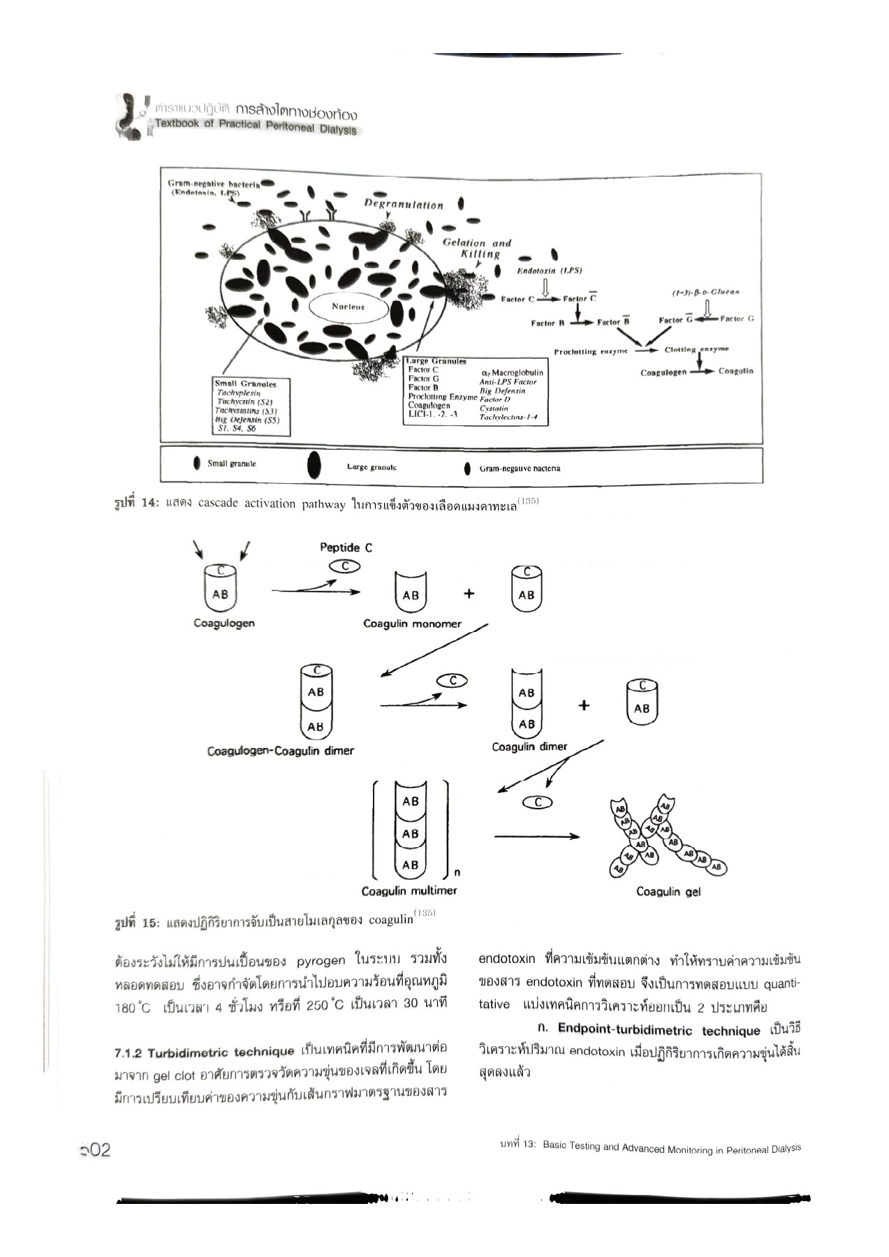 บทที่ 13 Basic Testing and Advanced Monitoring in Peritoneal Dialysis ...