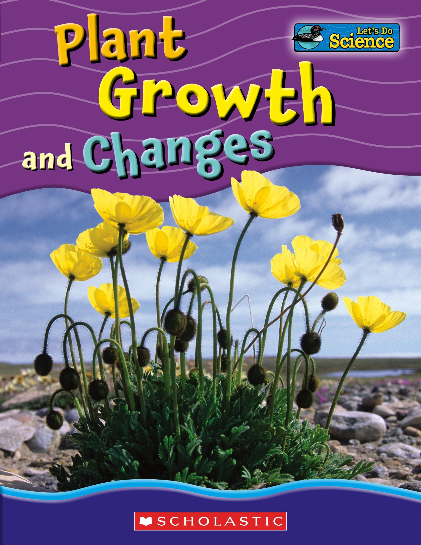 PlantGrowthChanges_magazine - Scholastic Canada - Page 1 - 36 | Flip ...