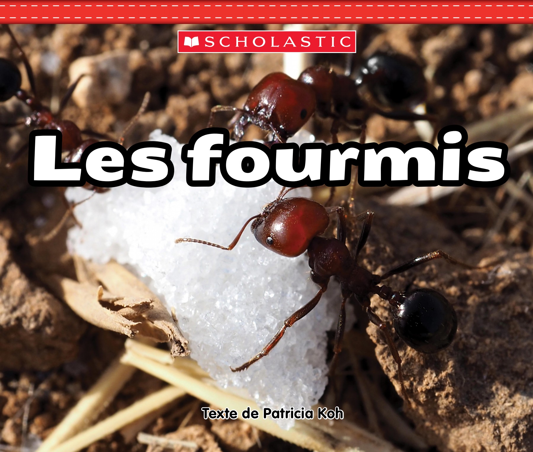 Les fourmis_FINAL_RA - Scholastic Canada - Page 1 - 14 | Flip PDF ...