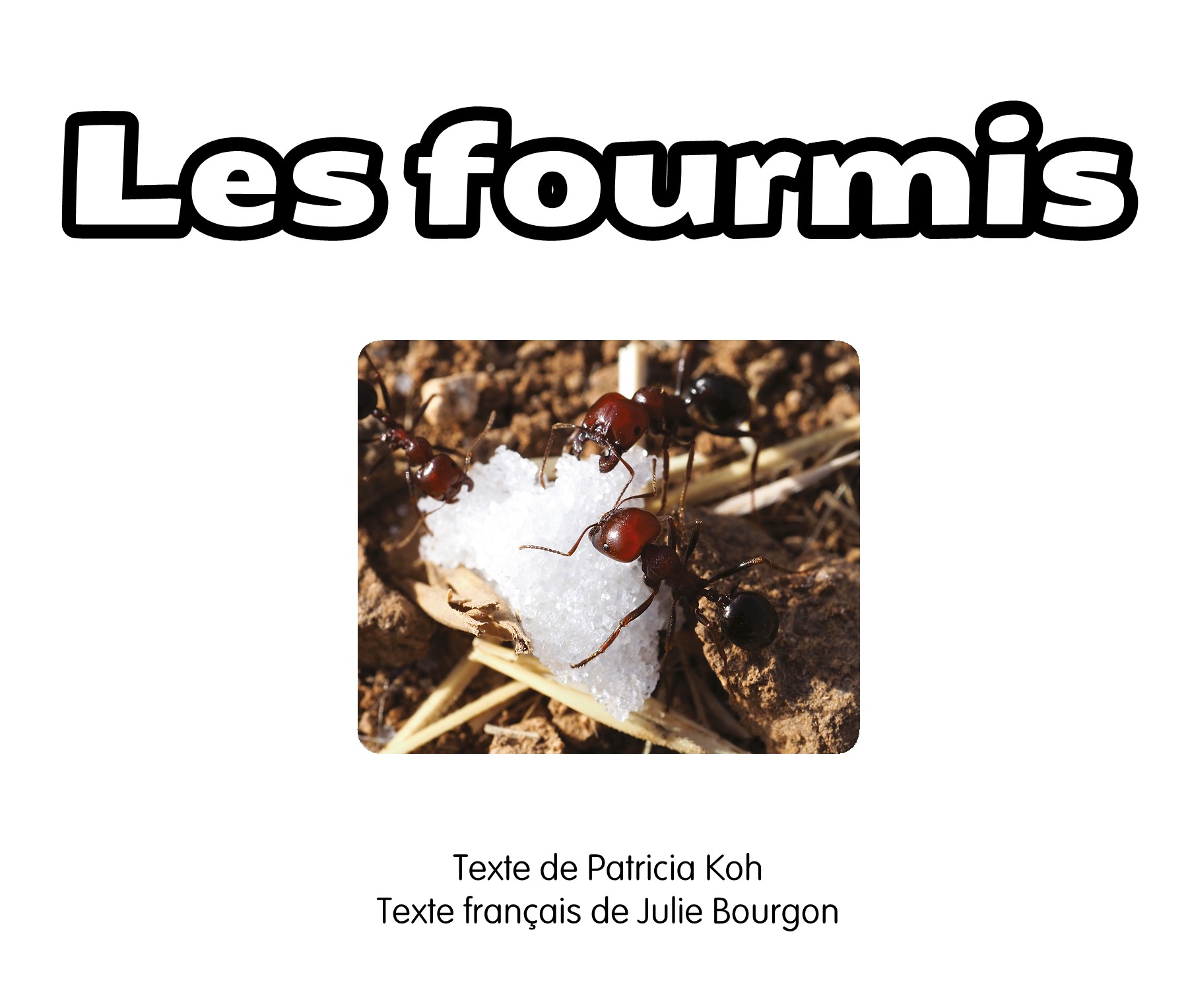 Les fourmis_FINAL_RA - Scholastic Canada - Page 3 | Flip PDF Online ...