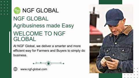 NGF Global: Your Ultimate Destination to Buy Grains in Bulk