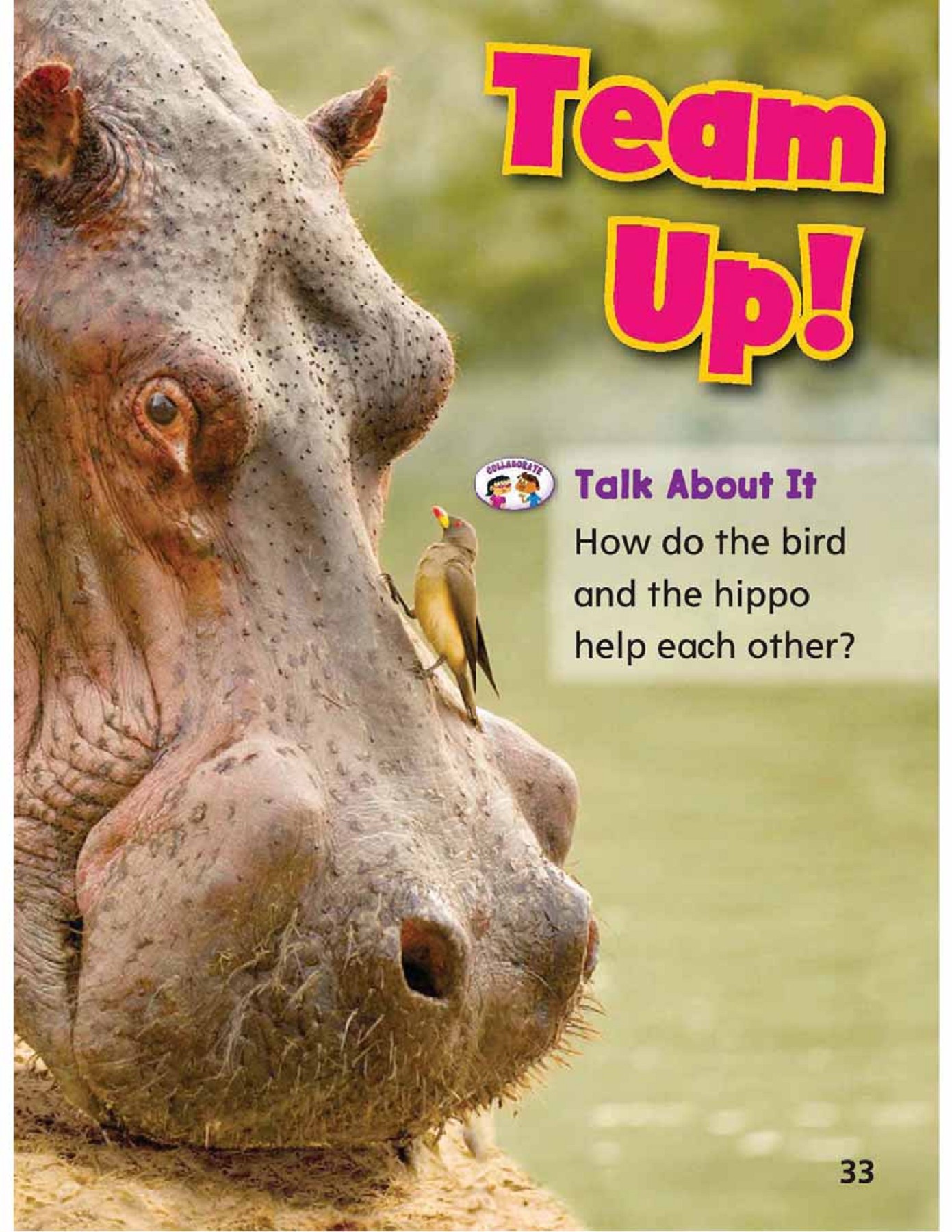 17 - A TEAM OF FISH - Rachelann27reanne - Page 1 - 19 | Flip PDF Online ...