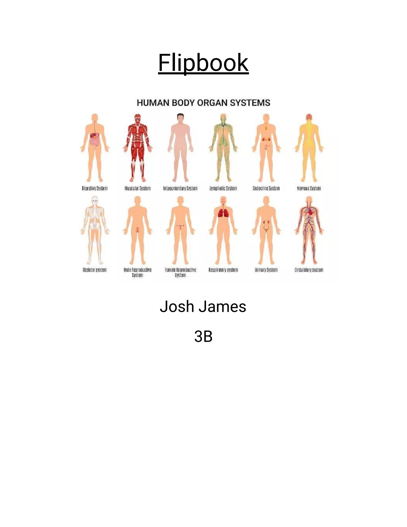 Final Flipbook Josh James CHS 3B - joshan.james.100 - Page 1 - 30 ...