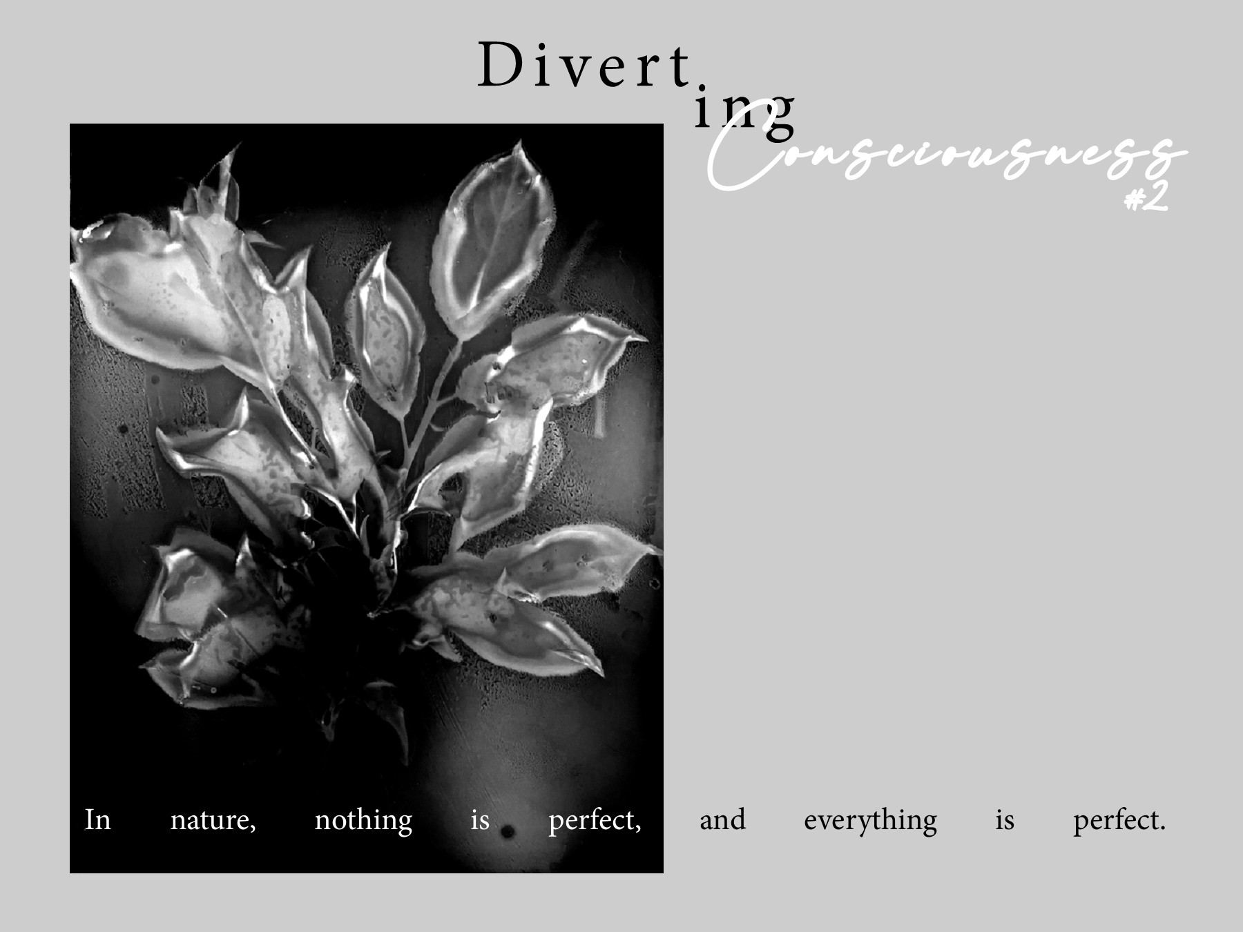 Photobook- parallel text TEST - shirahandrewss - Page 1 | Flip PDF ...