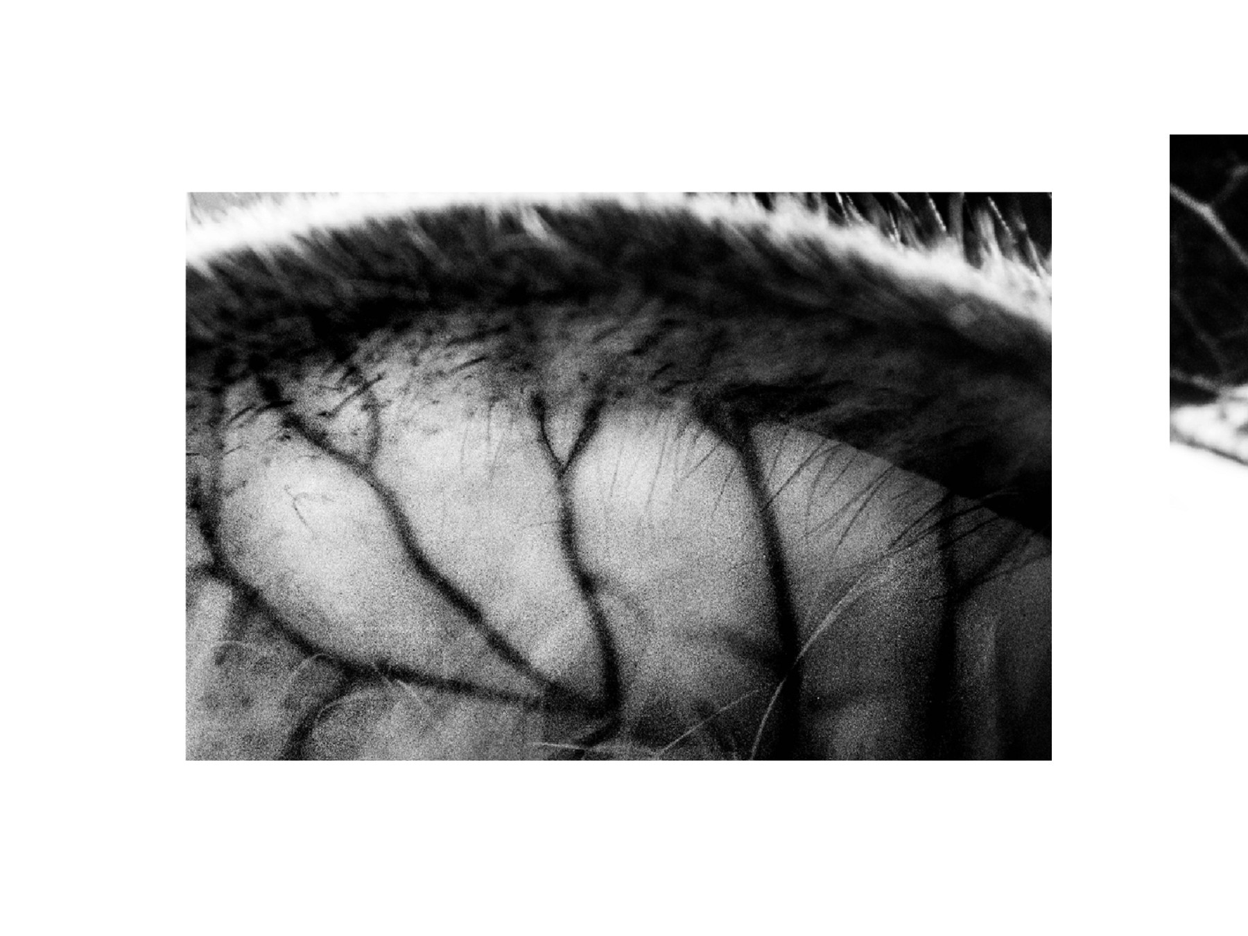 Photobook- parallel text TEST - shirahandrewss - Page 2 | Flip PDF ...