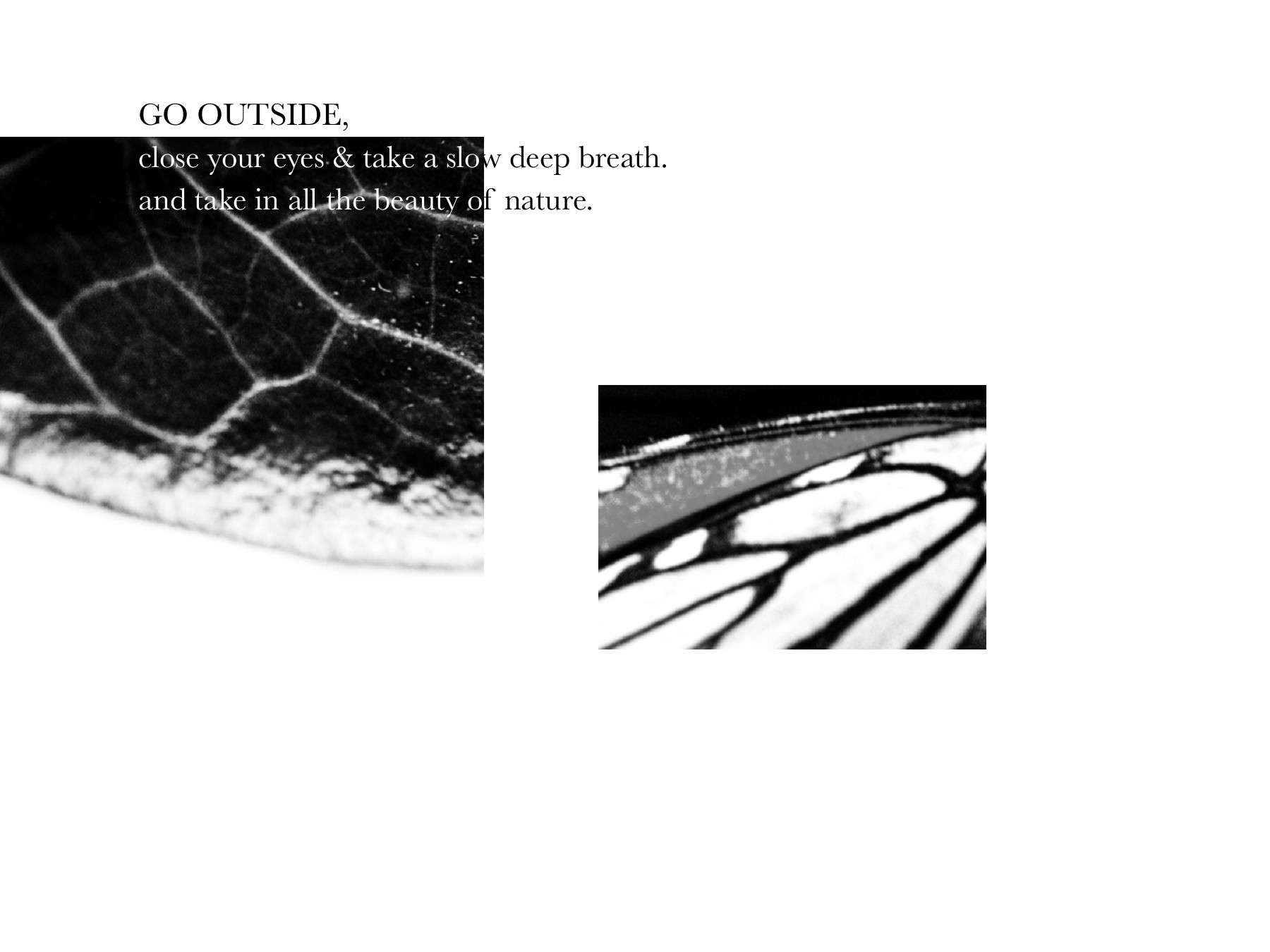 Photobook- parallel text TEST - shirahandrewss - Page 3 | Flip PDF ...