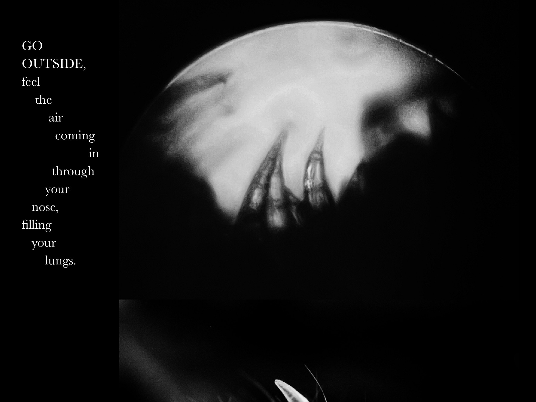 Photobook- parallel text TEST - shirahandrewss - Page 4 | Flip PDF ...