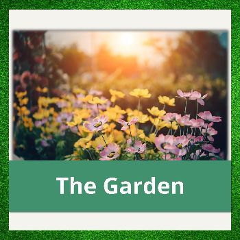 The Garden