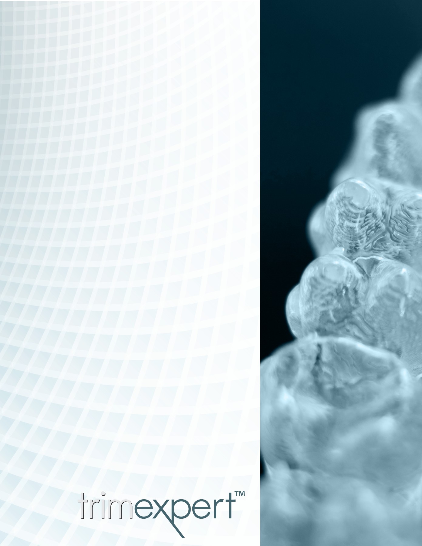 TrimExpert Brochure - steveb - Page 1 - 6 | Flip PDF Online | PubHTML5