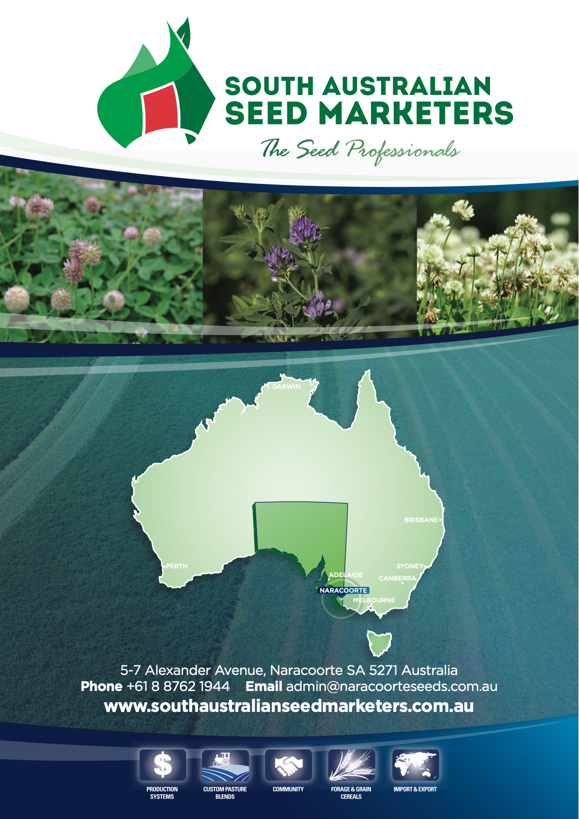 SA Seed Marketers - Hansen Design and Print - Page 1 - 12 | Flip PDF ...