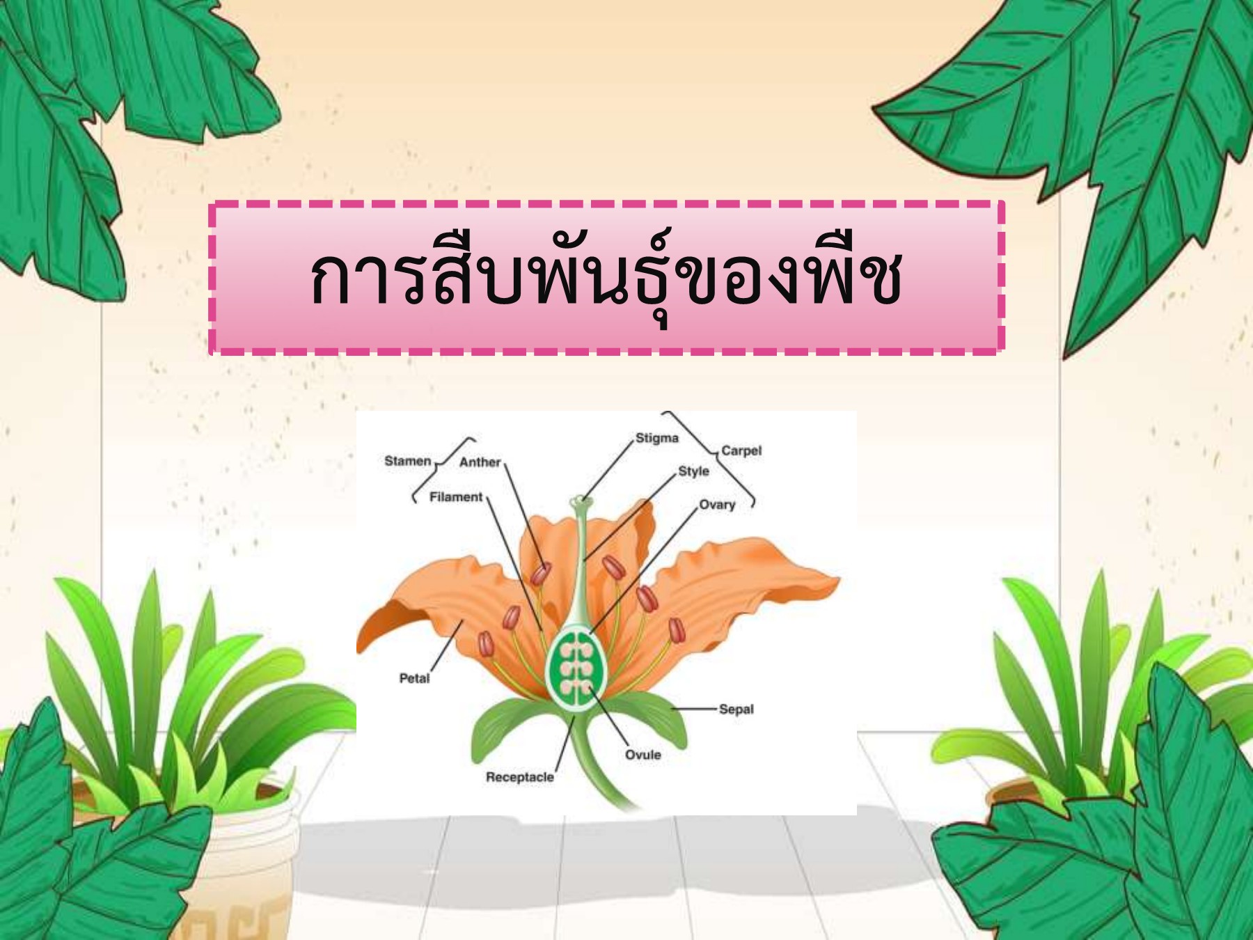 การสืบพันธุ์ของพืชดอก - nori.voos - หน้าหนังสือ 1 - 36 | พลิก PDF ...