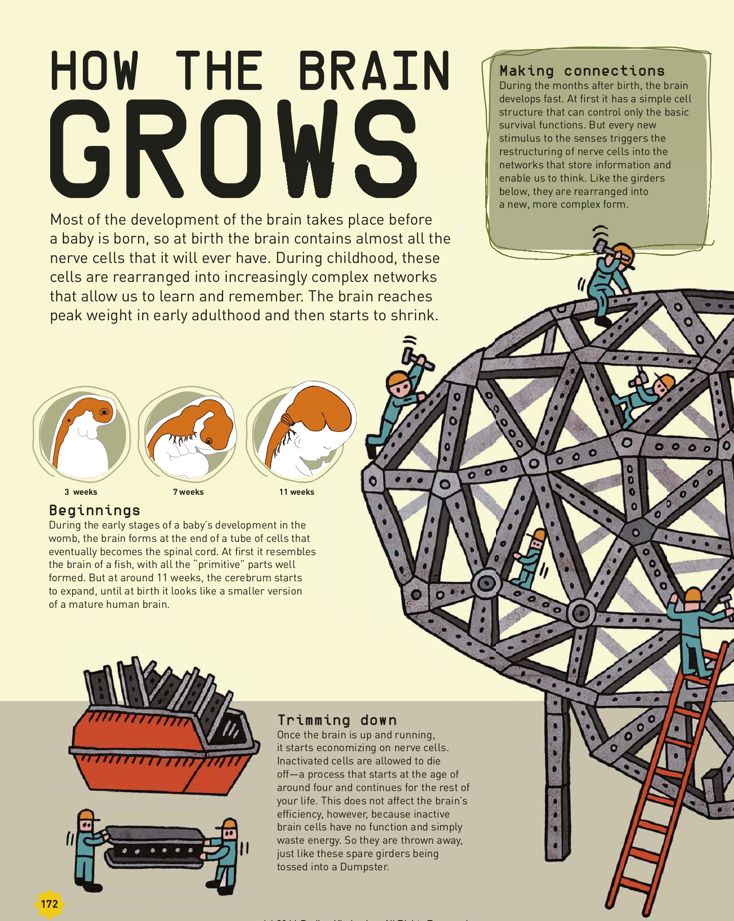 How_to_Be_a_Genius - thontheanlay - Page 175 | Flip PDF Online | PubHTML5