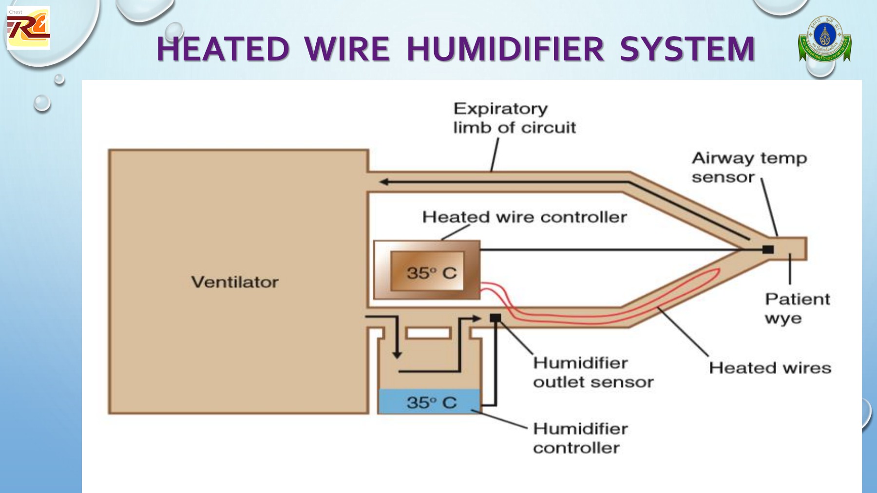 อ.นภารัตน์_พว.ยุพาวดี - ทรงศิริ ทับทิมอ่อน - Page 66 | Flip PDF Online ...
