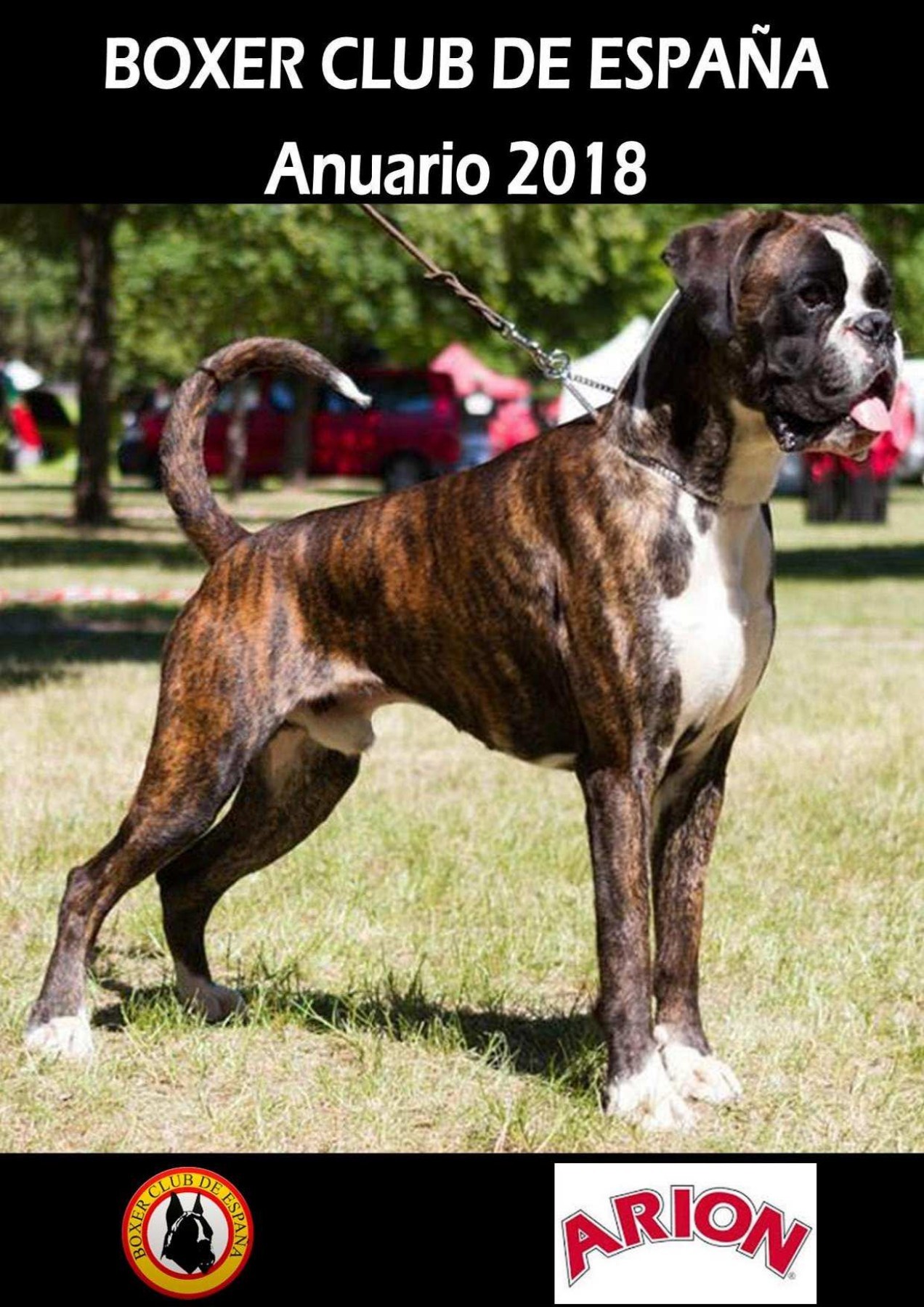 Anuario Boxer Club España 2018 - Jesus Estevez - Páxina 1 - 44 | PDF en ...