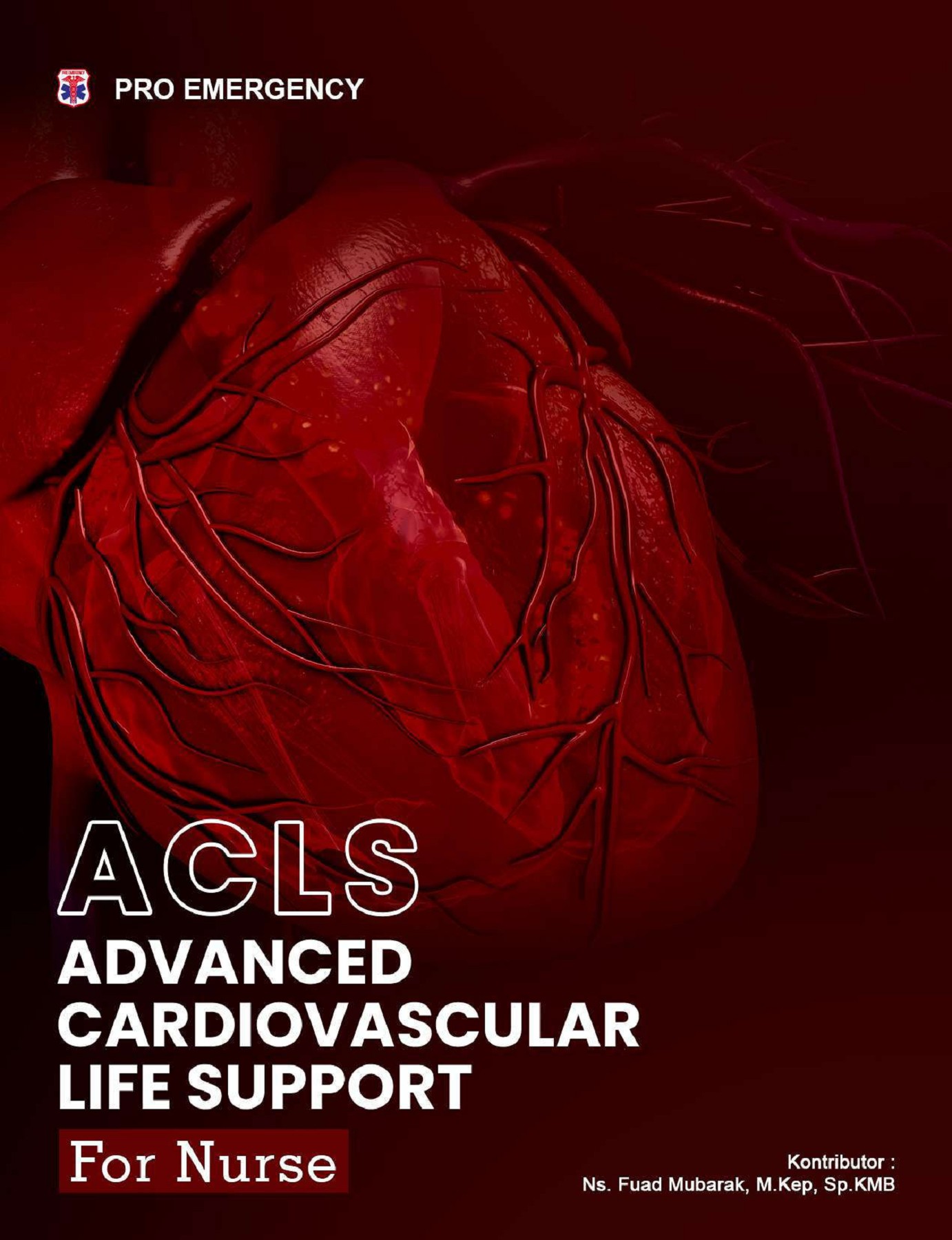 ACLS FOR NURSE PRO EMERGENCY - PRO EMERGENCY BOOK - Page 1 - 147 | Flip ...