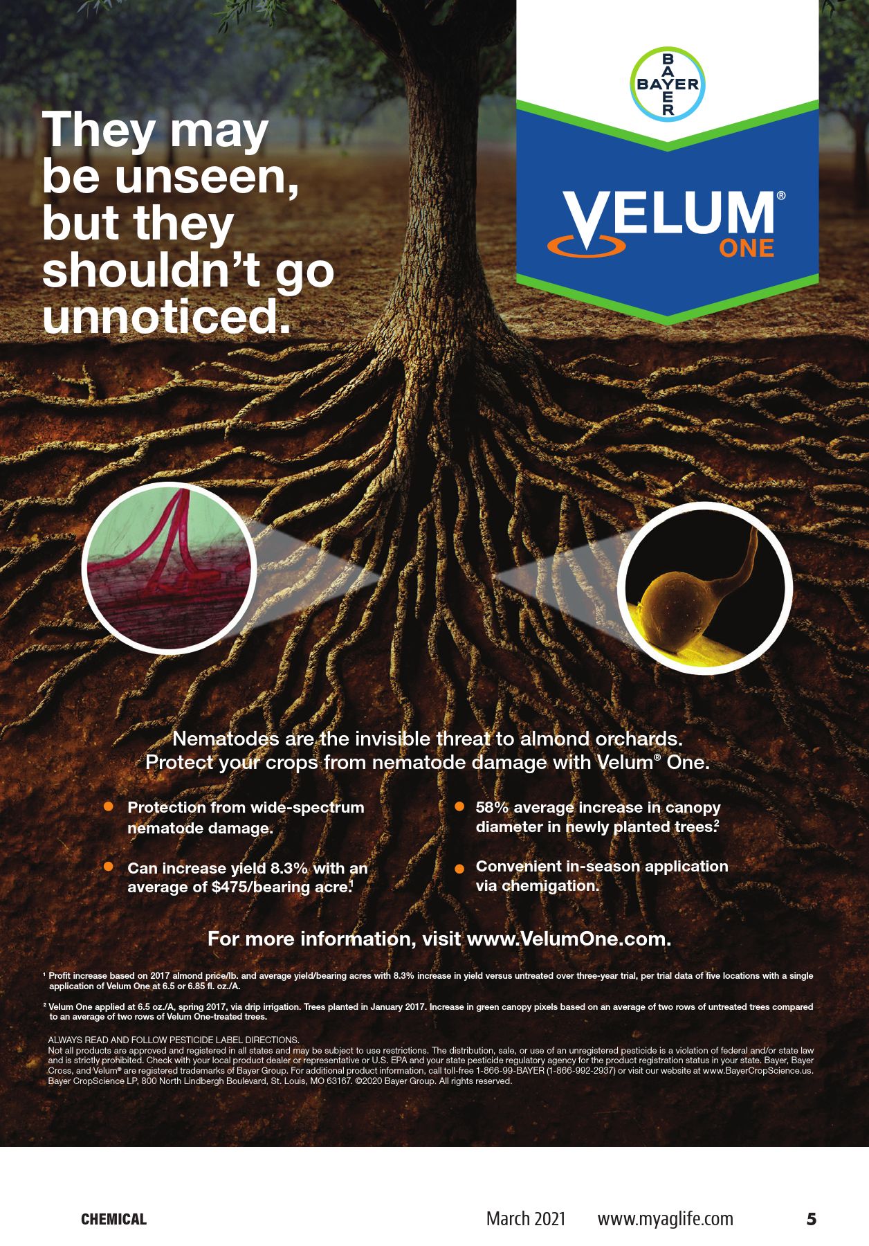 My Ag Life Digital Guide March 2021 - My Ag Life Digital Guide - Page 5 ...