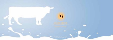 Anant Group - parmarmehul179 - Page 1 - 0 | Flip PDF Online | PubHTML5