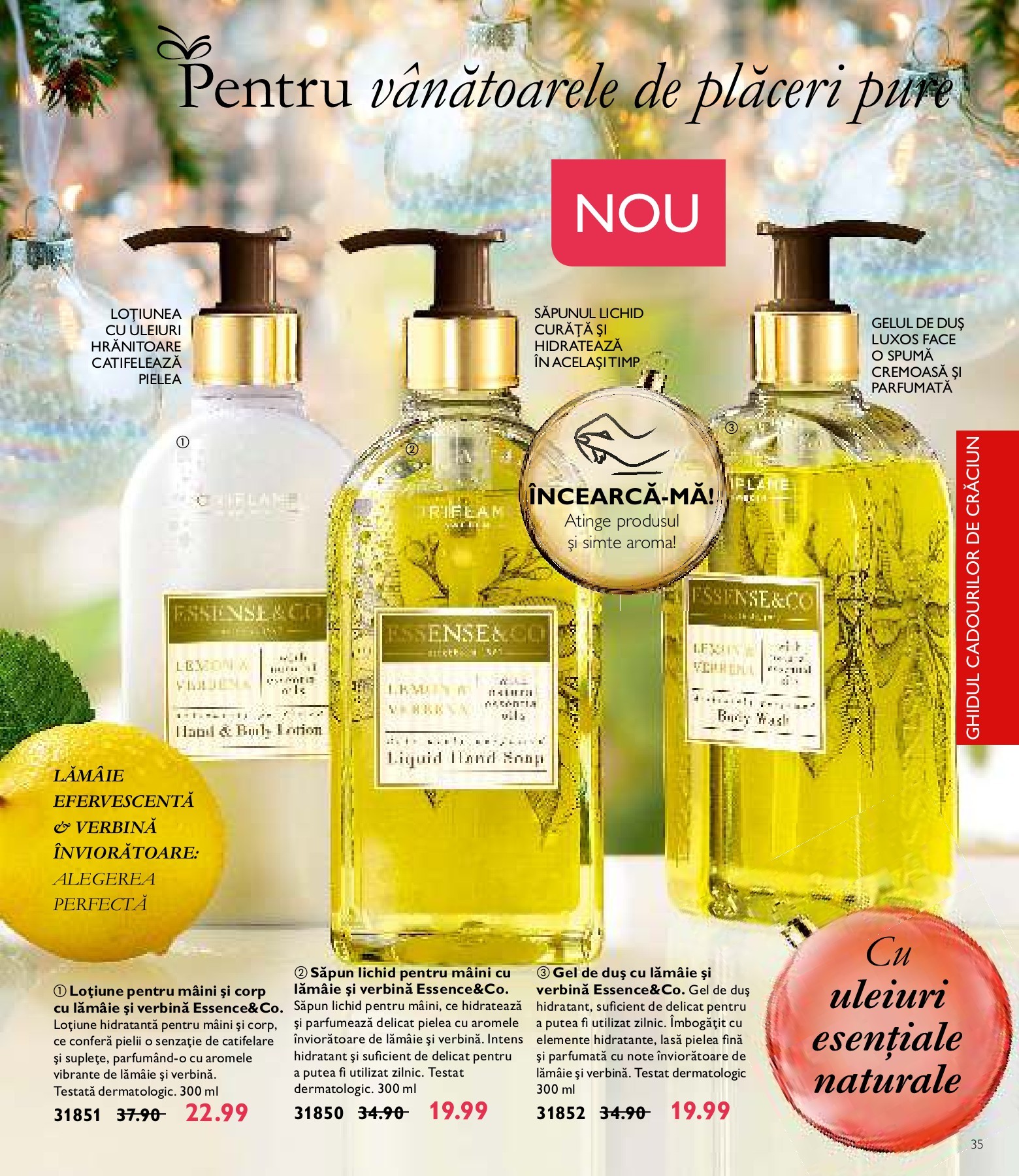 201517 - mateiu.alexandra - Pagină 35 | PDF Online | PubHTML5