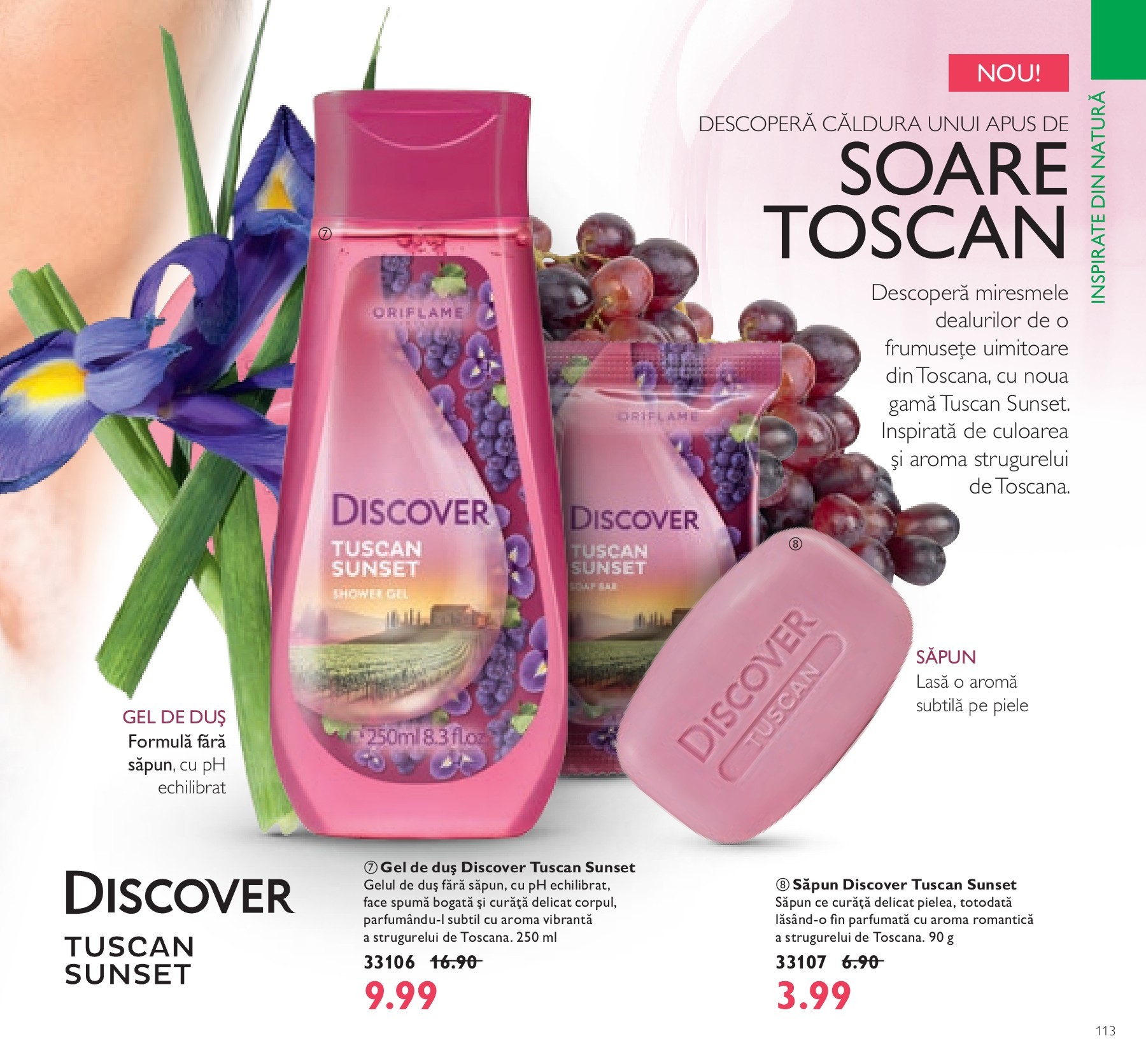 2017004 - mateiu.alexandra - Pagină 113 | PDF Online | PubHTML5