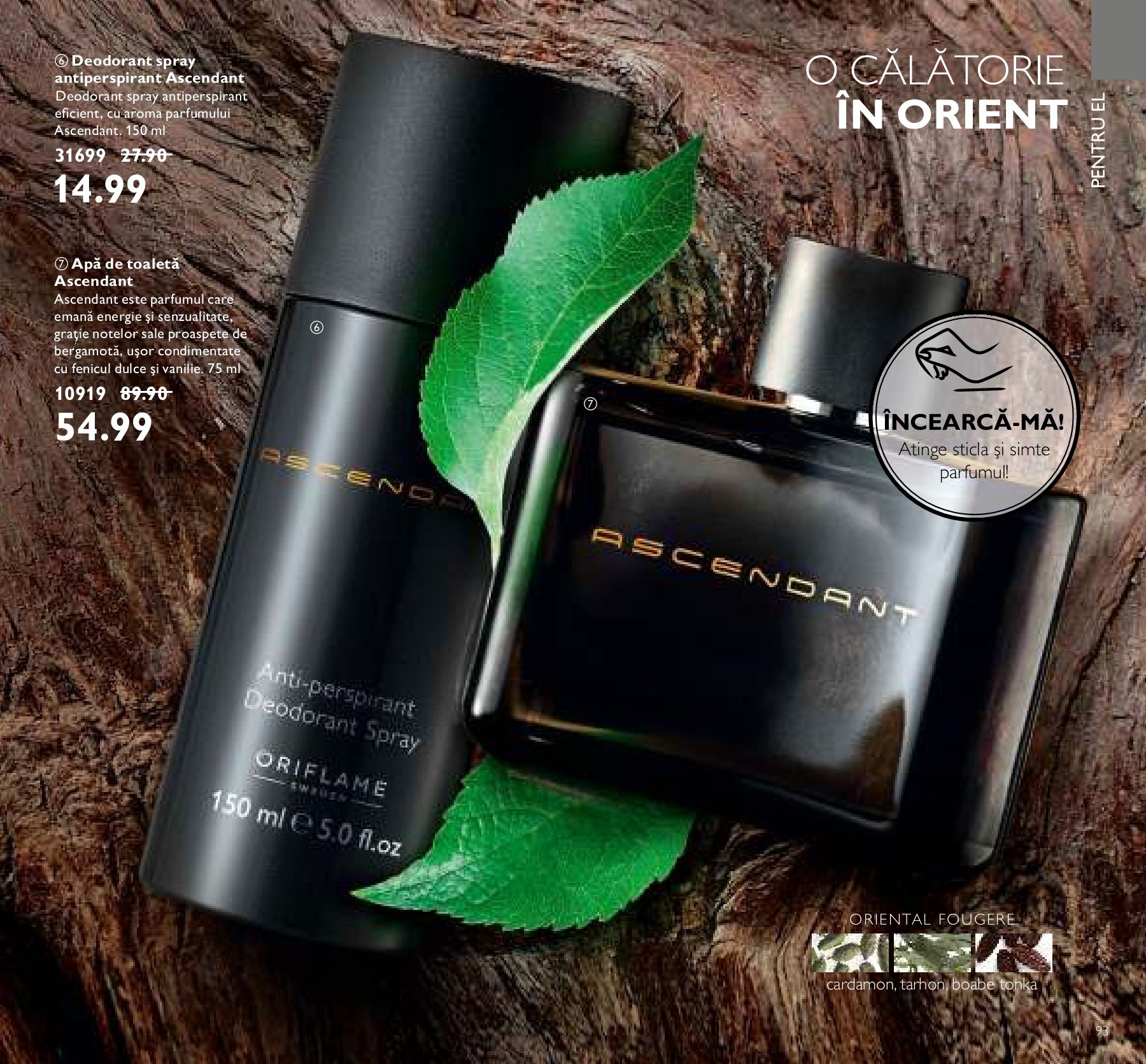 201607 - mateiu.alexandra - Pagină 93 | PDF Online | PubHTML5