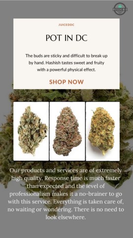 High Potent Pot In Dc - Juiceddc - Juiceddc - Page 1 - 2 | Flip PDF ...