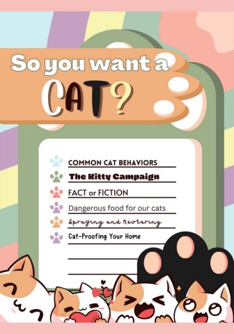 Group 5 - Multimedia Output: Cats!