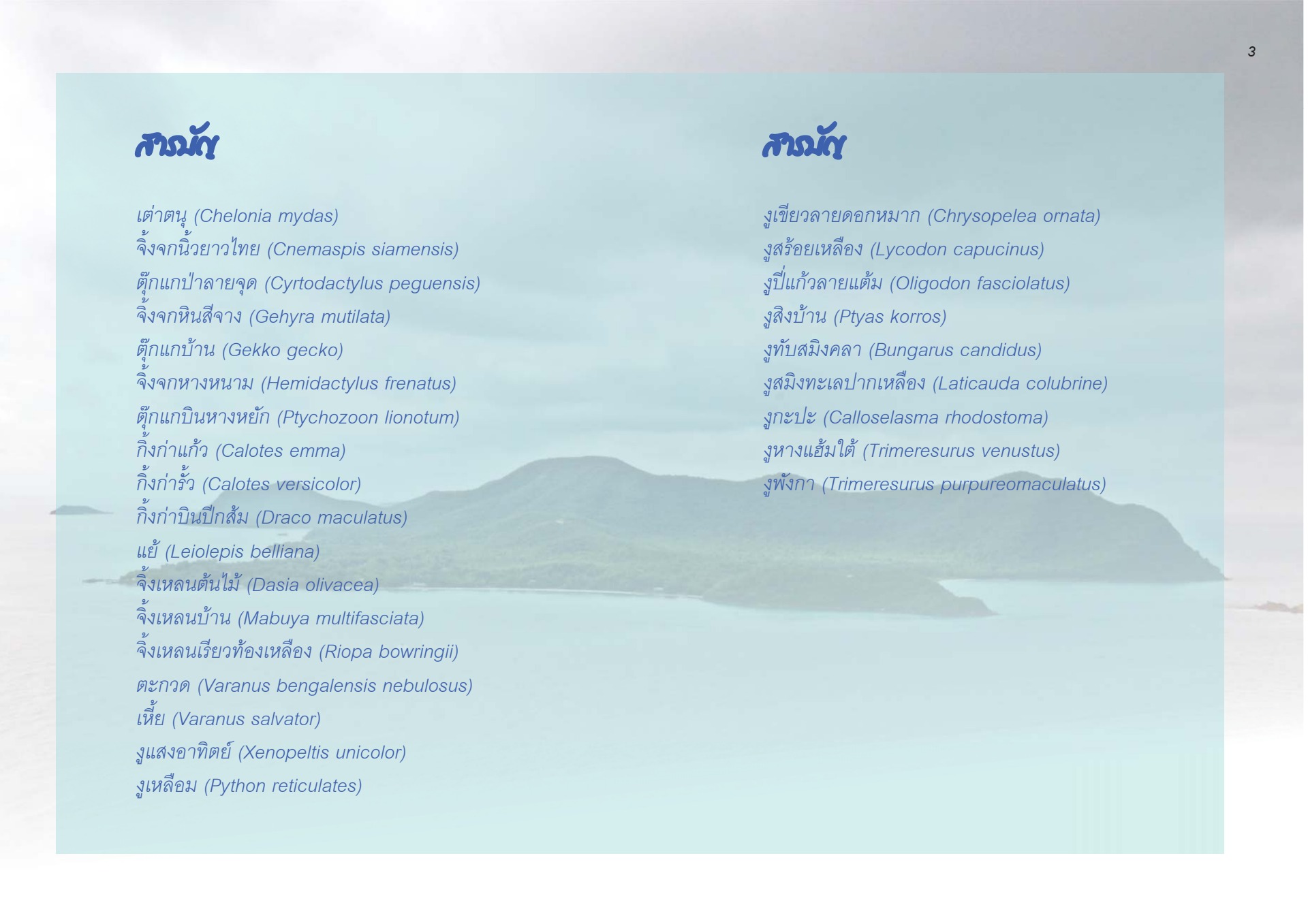 9สัตว์เลื้อยคลานในเกาะทะเลไทย - Chatchawan Chuankrathok - หน้าหนังสือ 2 | พลิก PDF ออนไลน์ ...