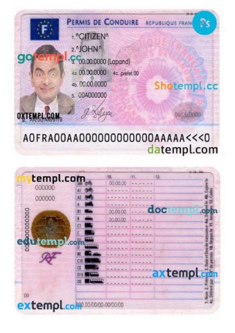 France driving license template in PSD format - datemplstore - Page 1 ...