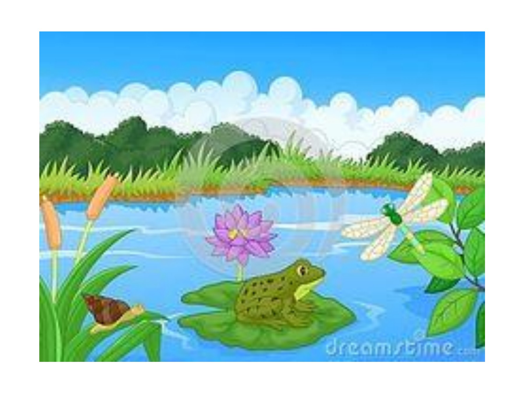 giao-trinh-mi-thuat - levanloc987 - Trang 251 | PDF lật trang trực ...