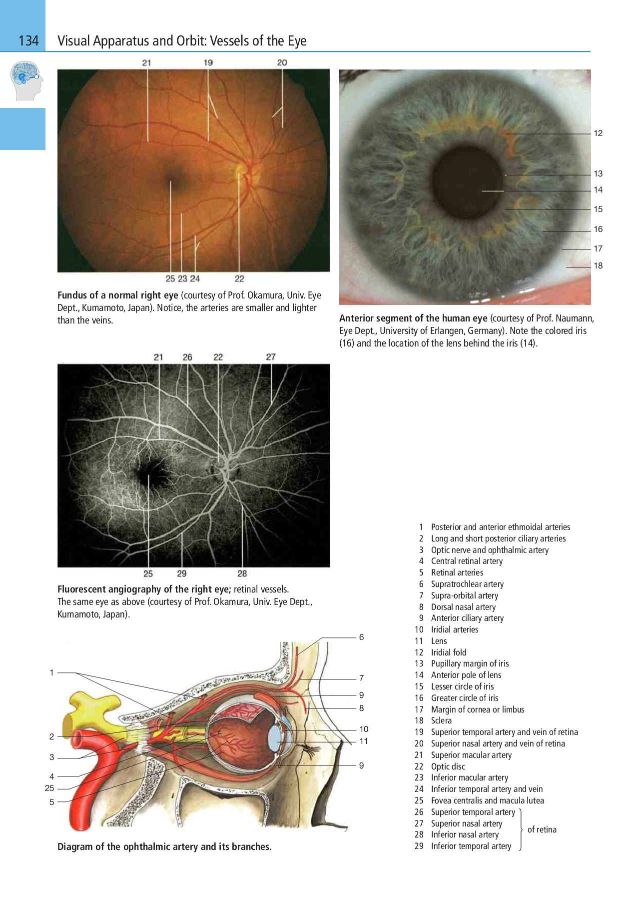 Color Atlas of Anatomy A Photographic Study of the Human Body 7th ...